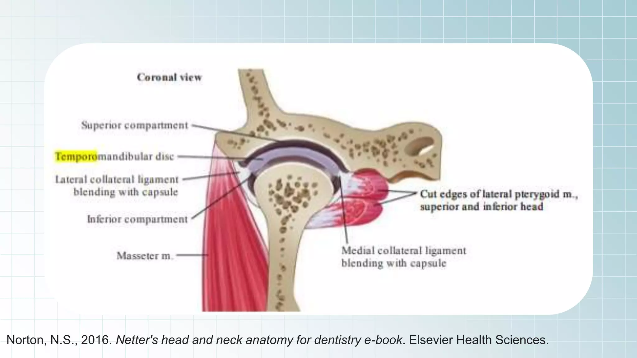 Anatomy of TMJ - Pebrian.pptx