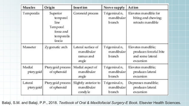 Anatomy of TMJ - Pebrian.pptx