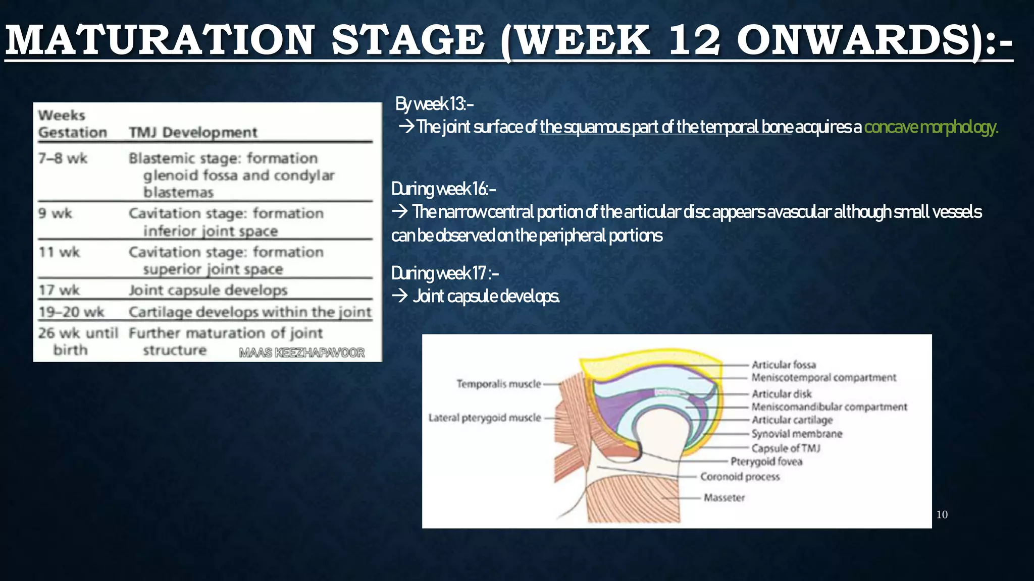 ANATOMY OF TMJ AND ITS ROLE IN PROSTHODONTICS.pptx