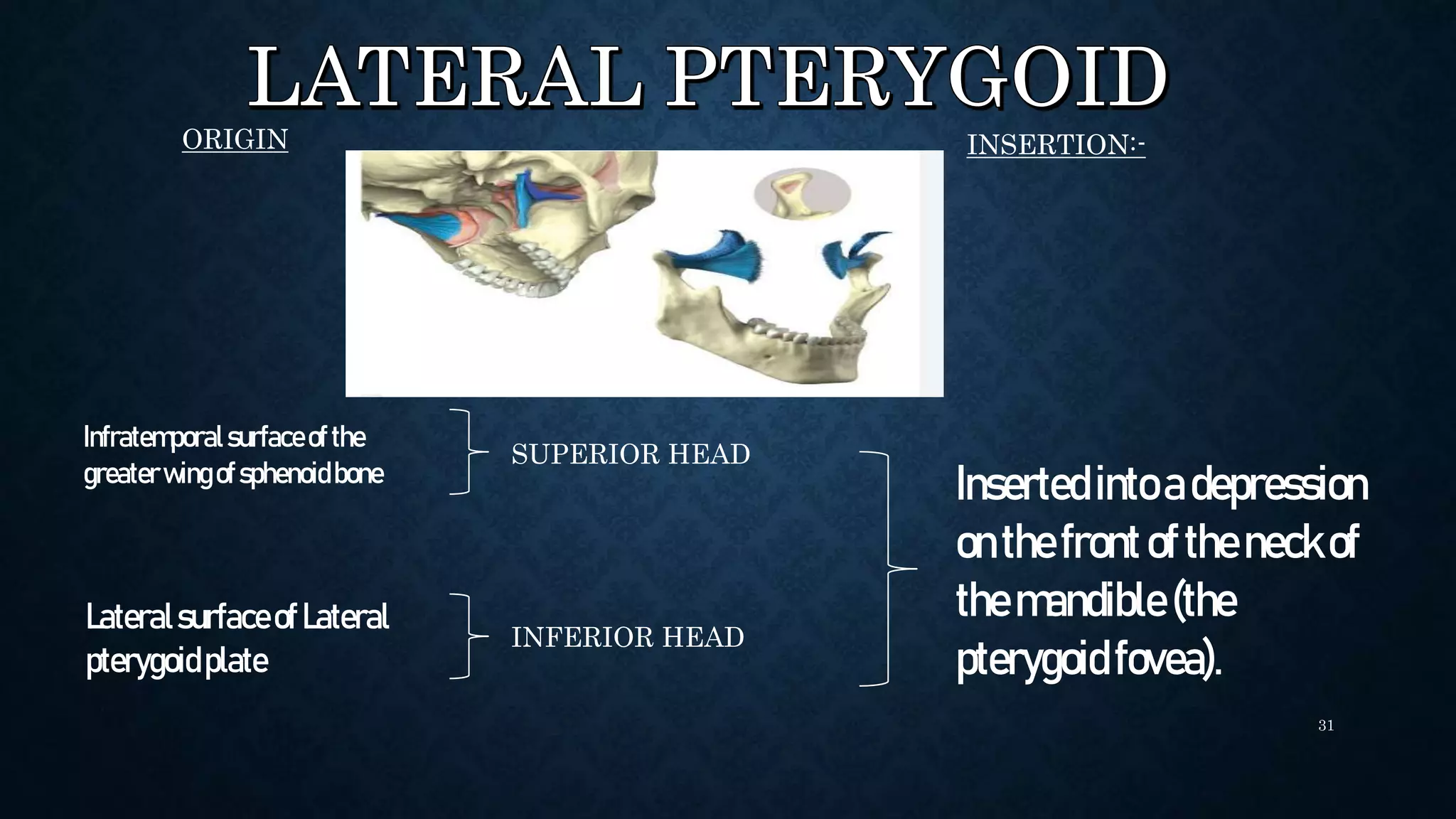ANATOMY OF TMJ AND ITS ROLE IN PROSTHODONTICS.pptx