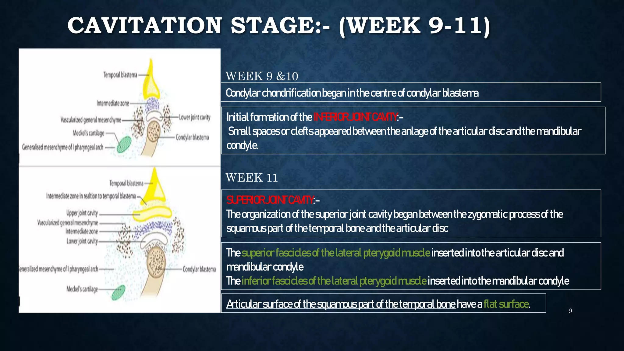 ANATOMY OF TMJ AND ITS ROLE IN PROSTHODONTICS.pptx
