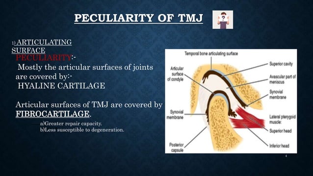 ANATOMY OF TMJ AND ITS ROLE IN PROSTHODONTICS.pptx | Bone and Joint ...