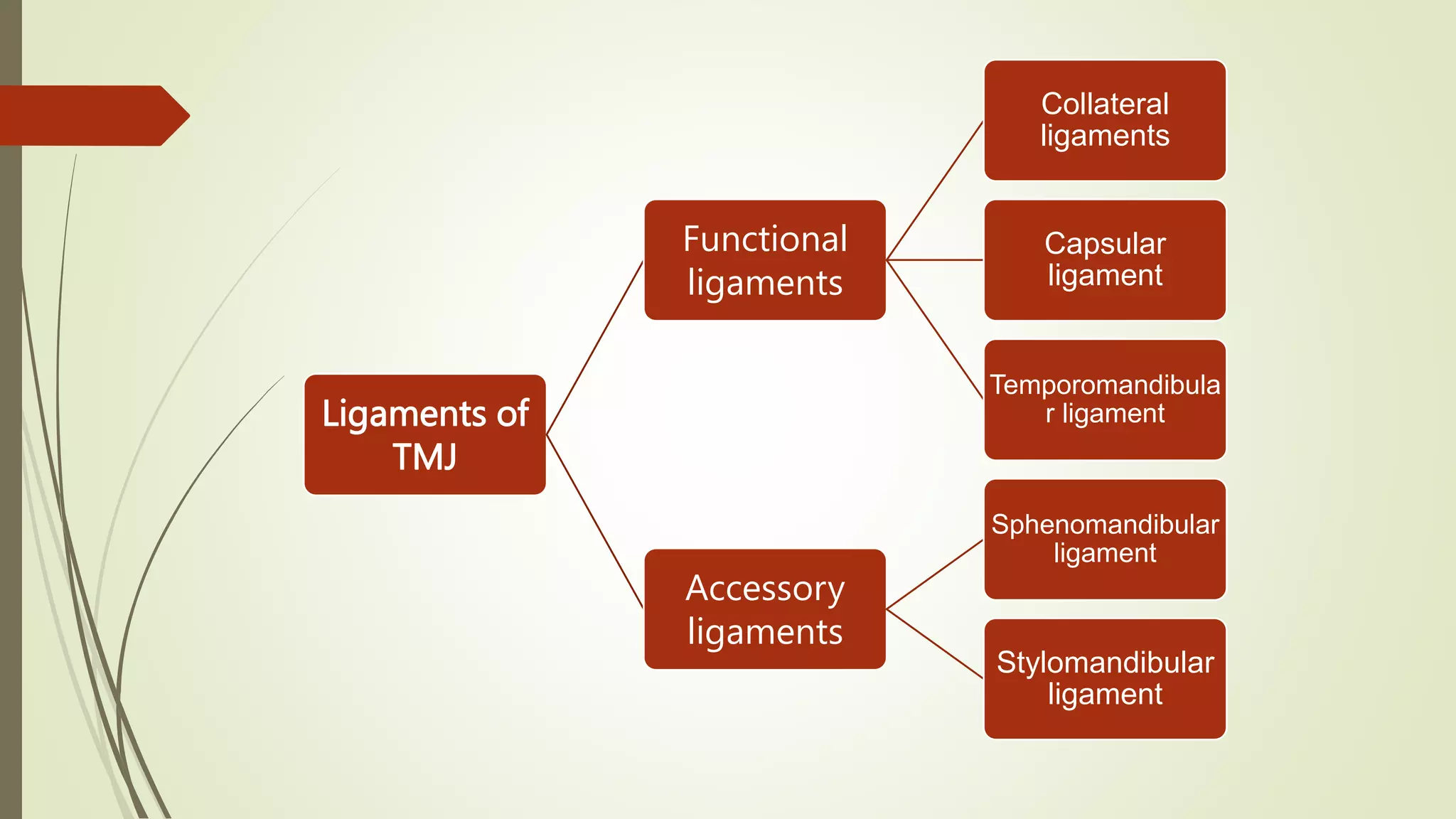 Anatomy of TMJ & its applied anatomy.pptx