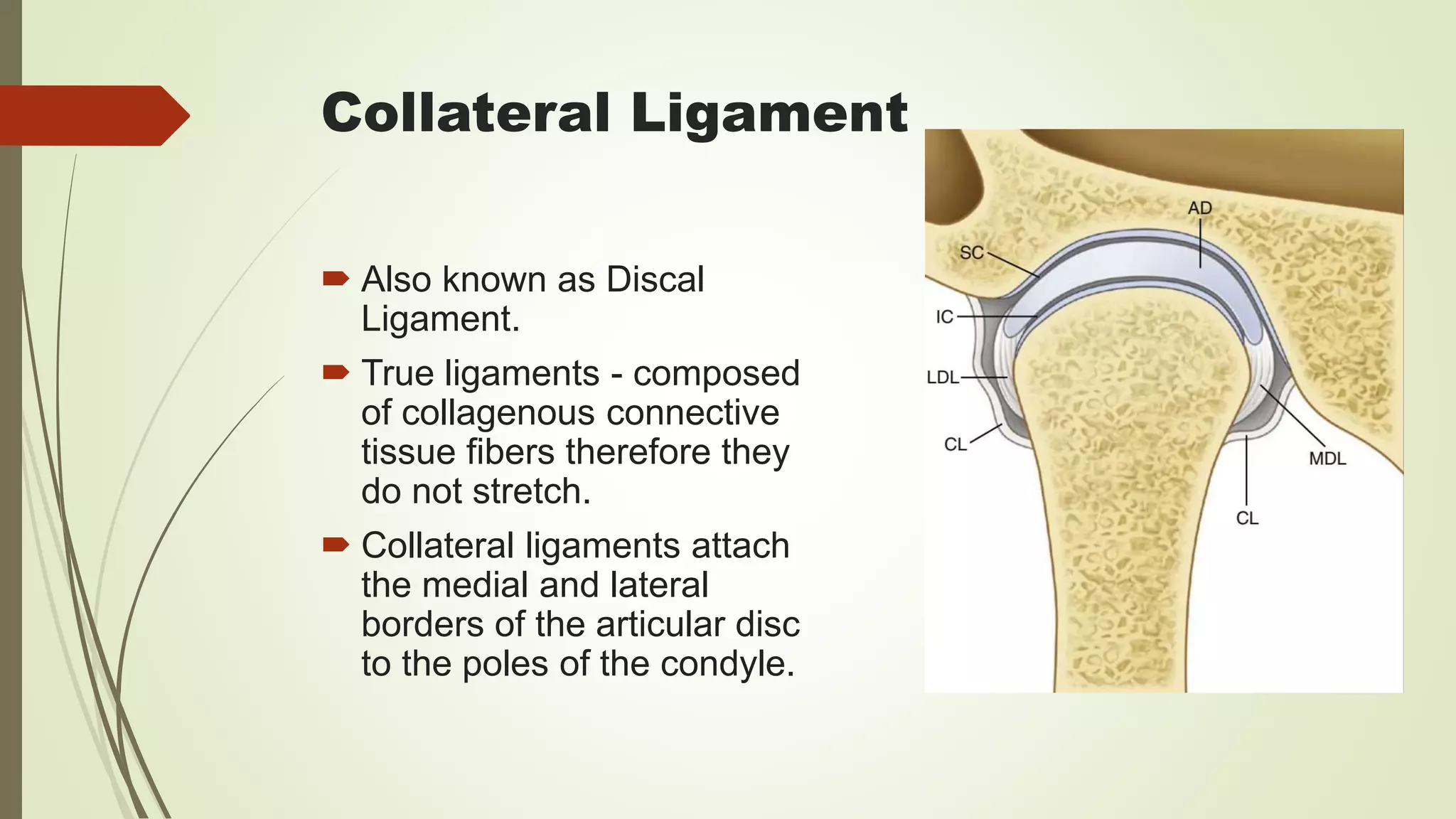 Anatomy of TMJ & its applied anatomy.pptx