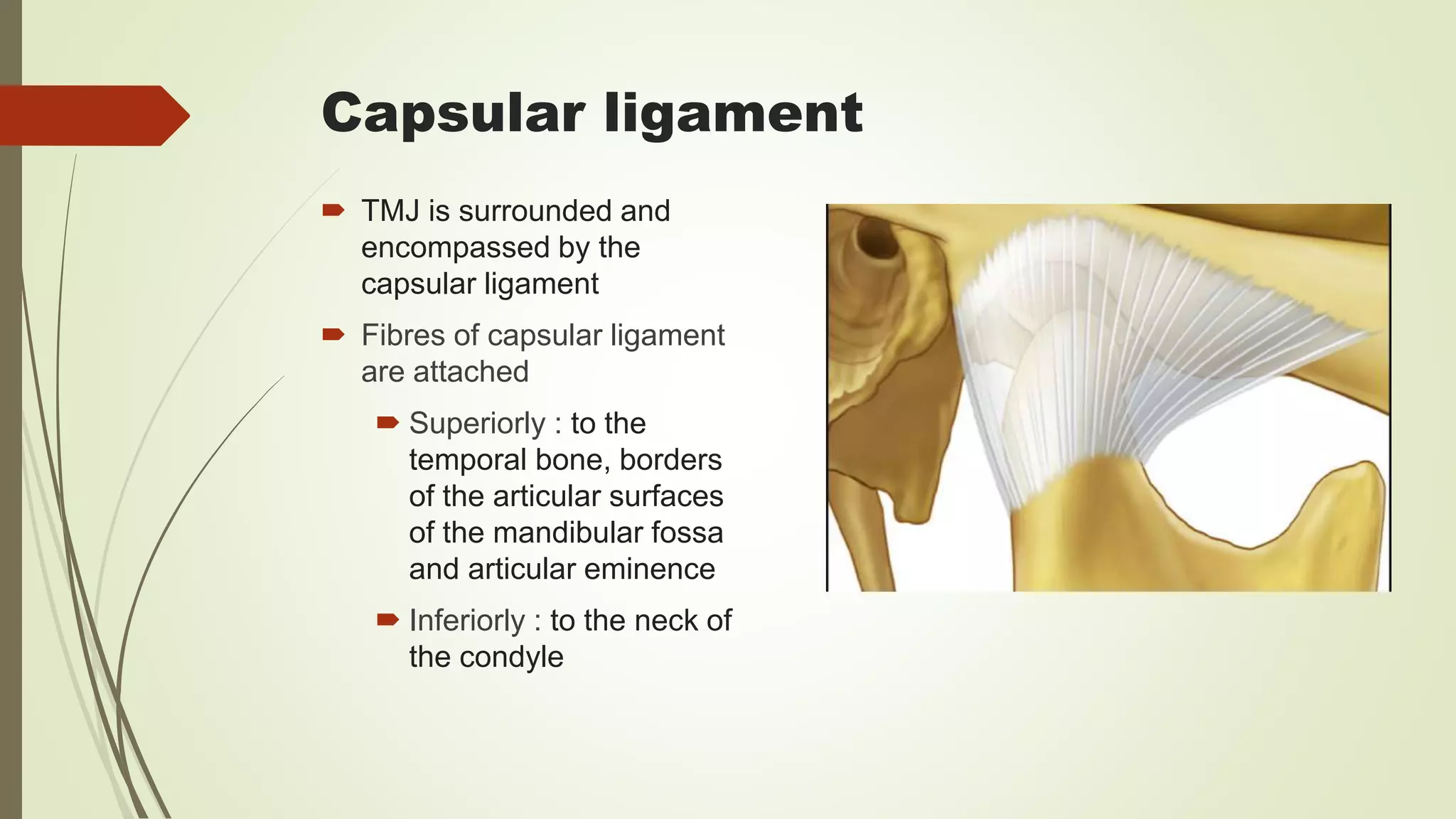 Anatomy of TMJ & its applied anatomy.pptx