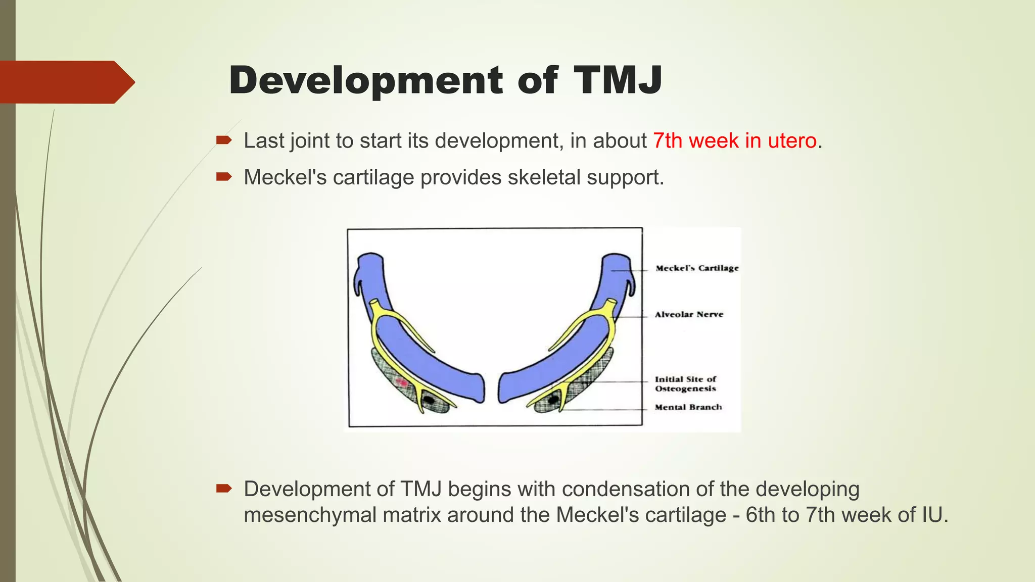 Anatomy of TMJ & its applied anatomy.pptx