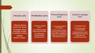 Anatomy of TMJ & its applied anatomy.pptx