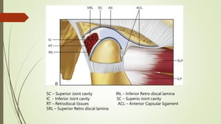 Anatomy of TMJ & its applied anatomy.pptx