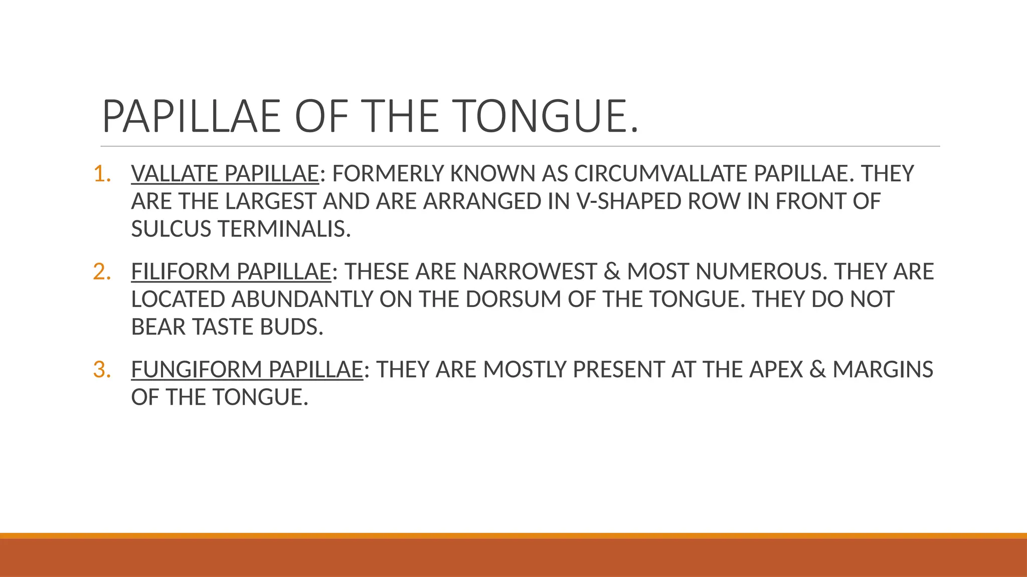 ANATOMY OF TONGUE presentation otorhinolaryngology | PPTX