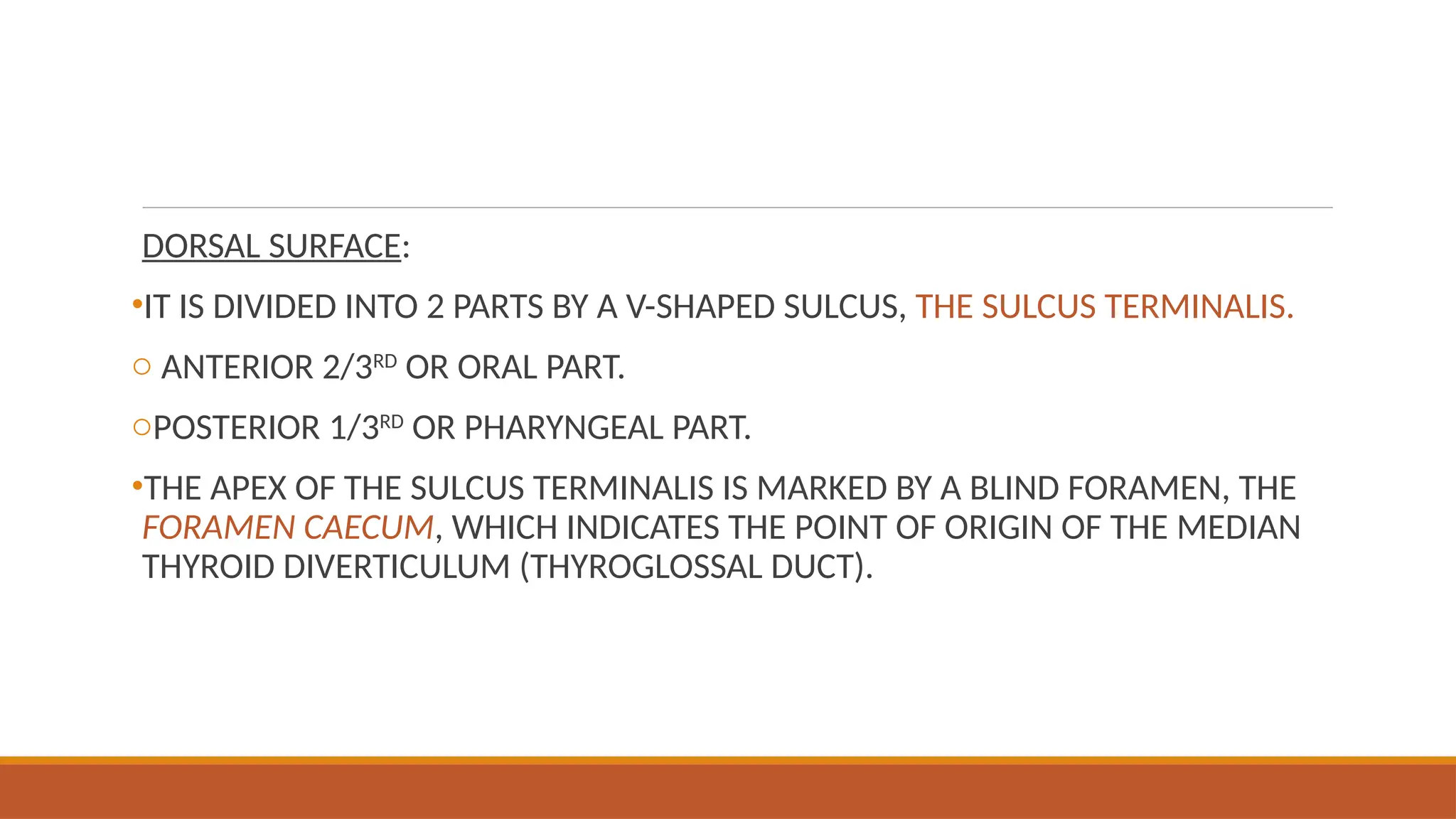 ANATOMY OF TONGUE presentation otorhinolaryngology | PPTX