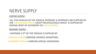 ANATOMY OF TONGUE presentation otorhinolaryngology | PPTX