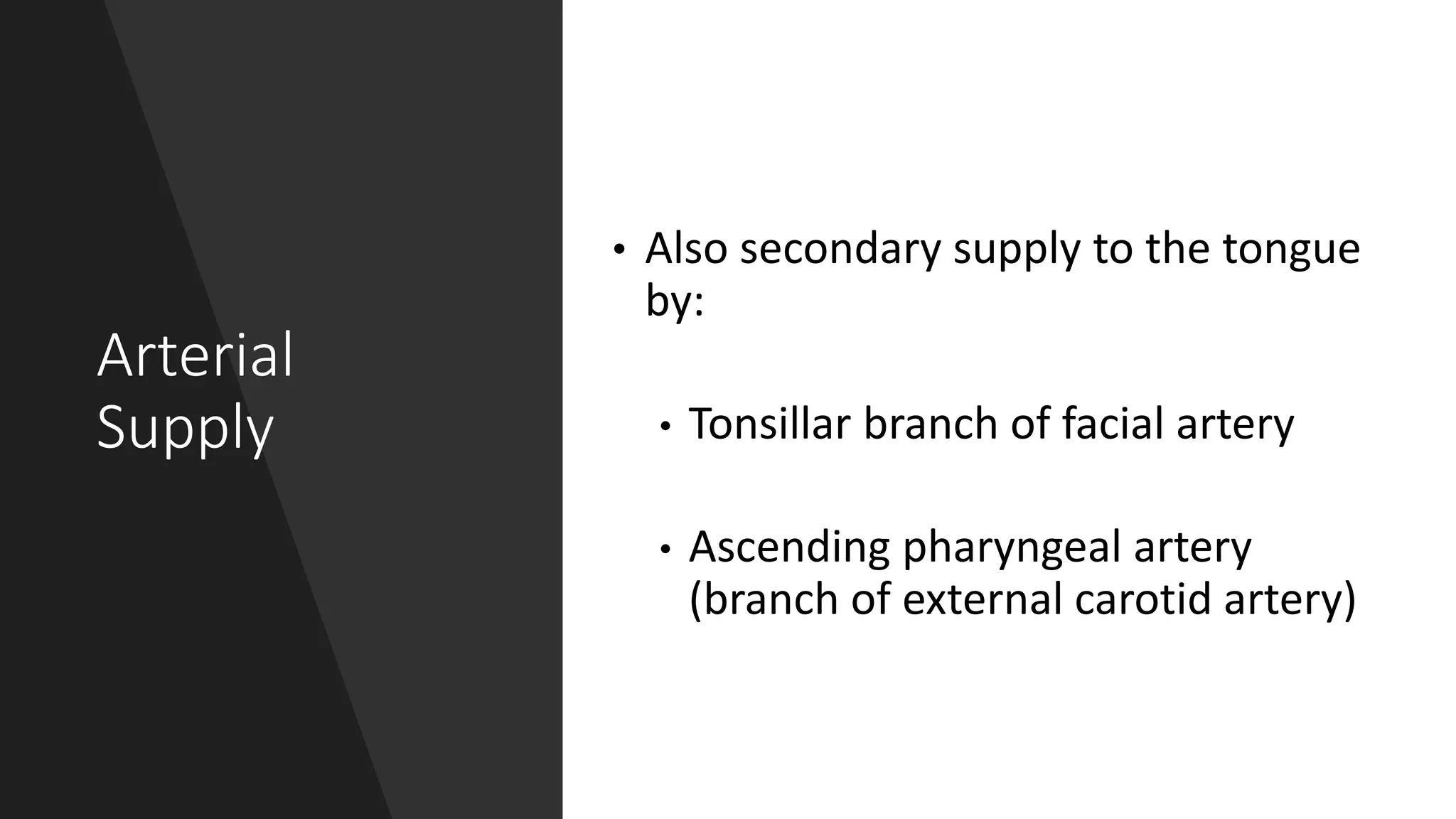 Anatomy Of Tongue Part 2pptx