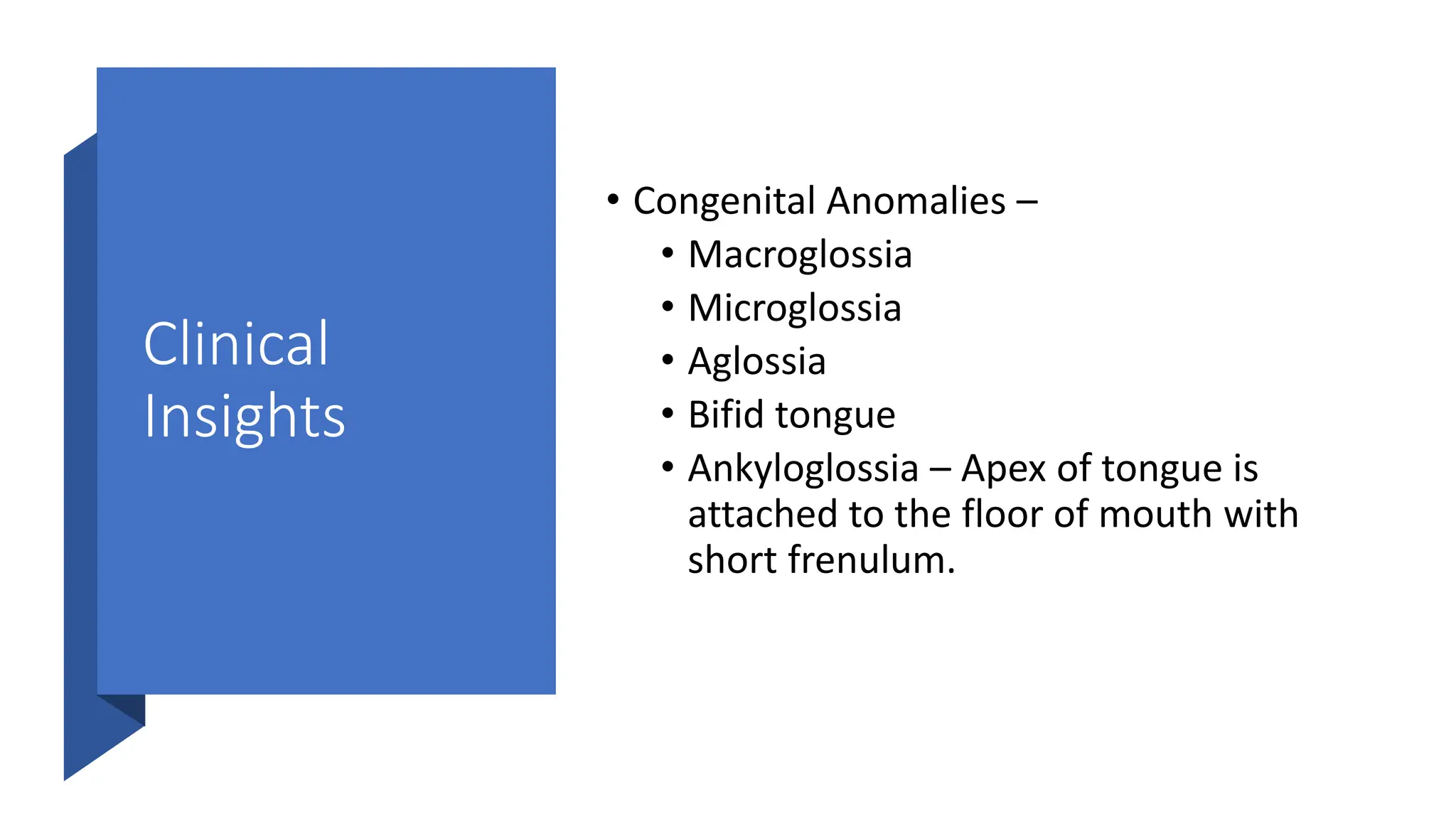 Anatomy of Tongue - Part 2.pptx