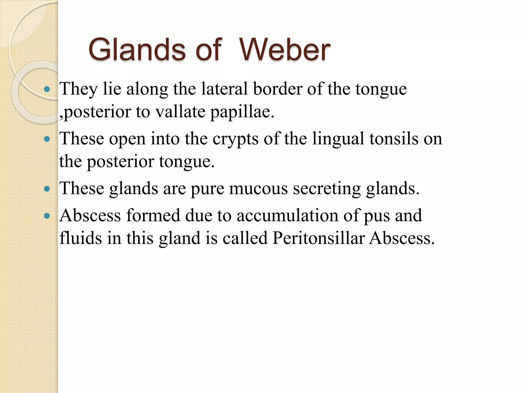 Anatomy of tongue & its applied aspects | PPTX