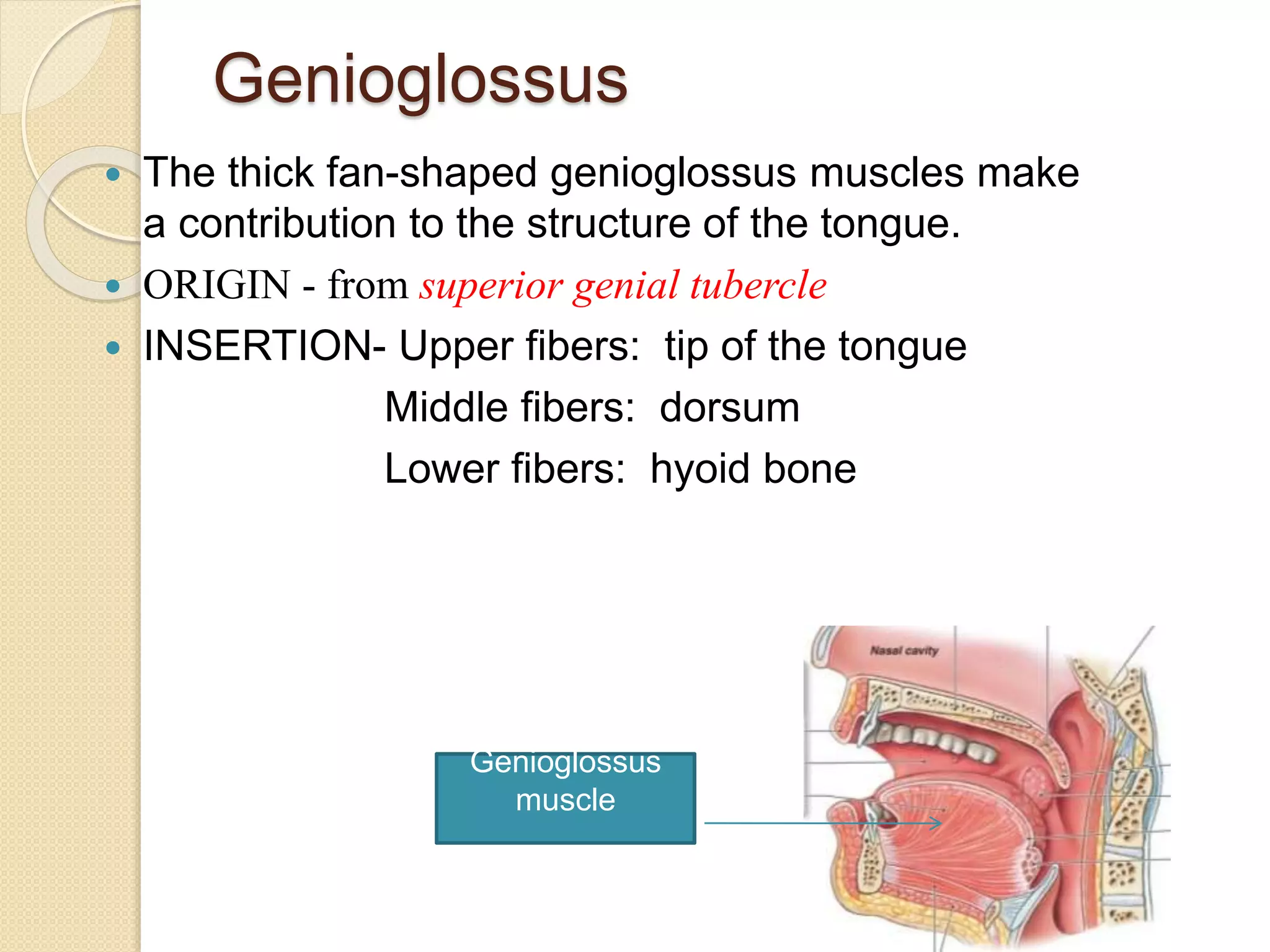 Anatomy of tongue & its applied aspects | PPTX