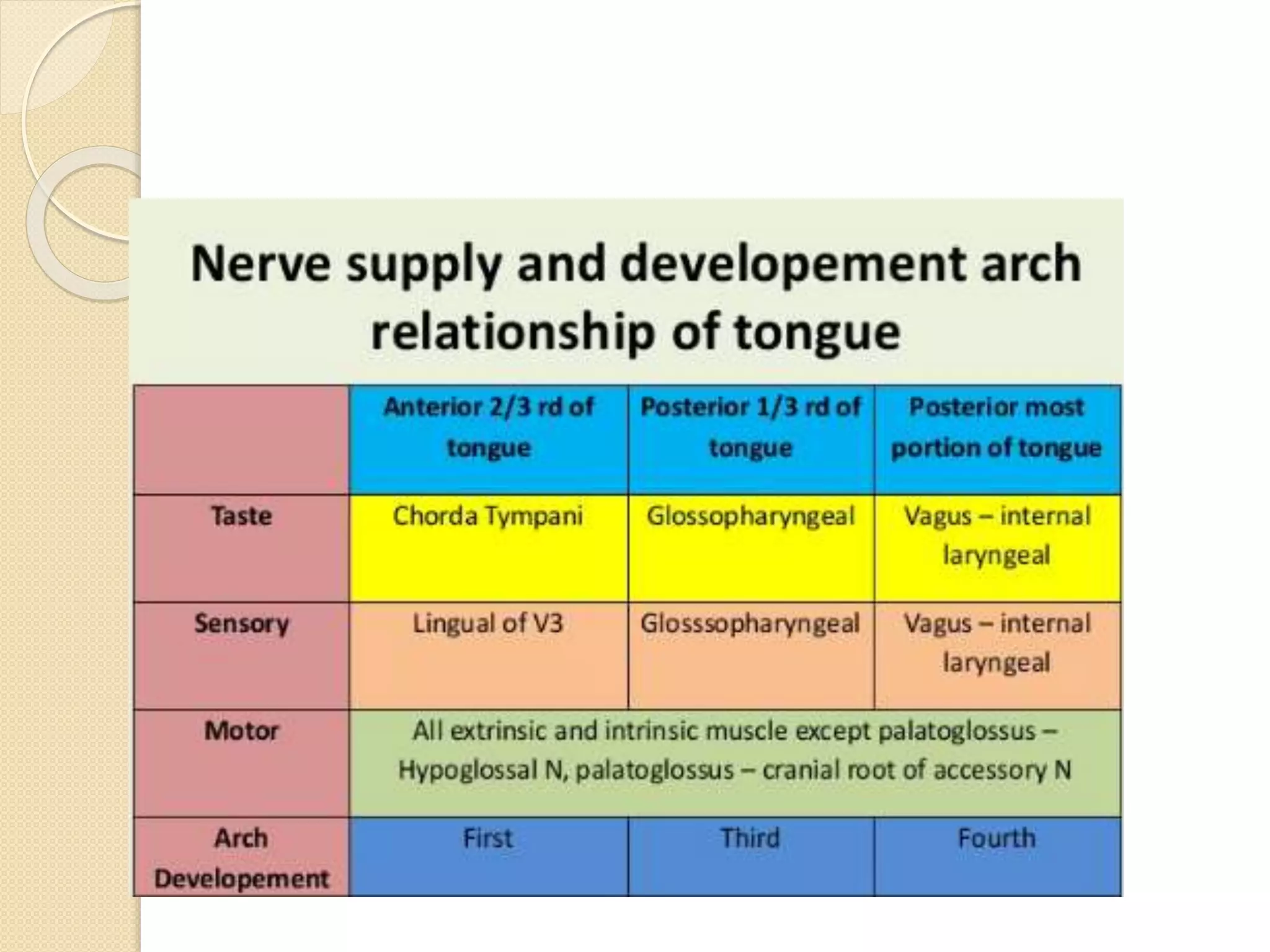 Anatomy of tongue & its applied aspects | PPTX