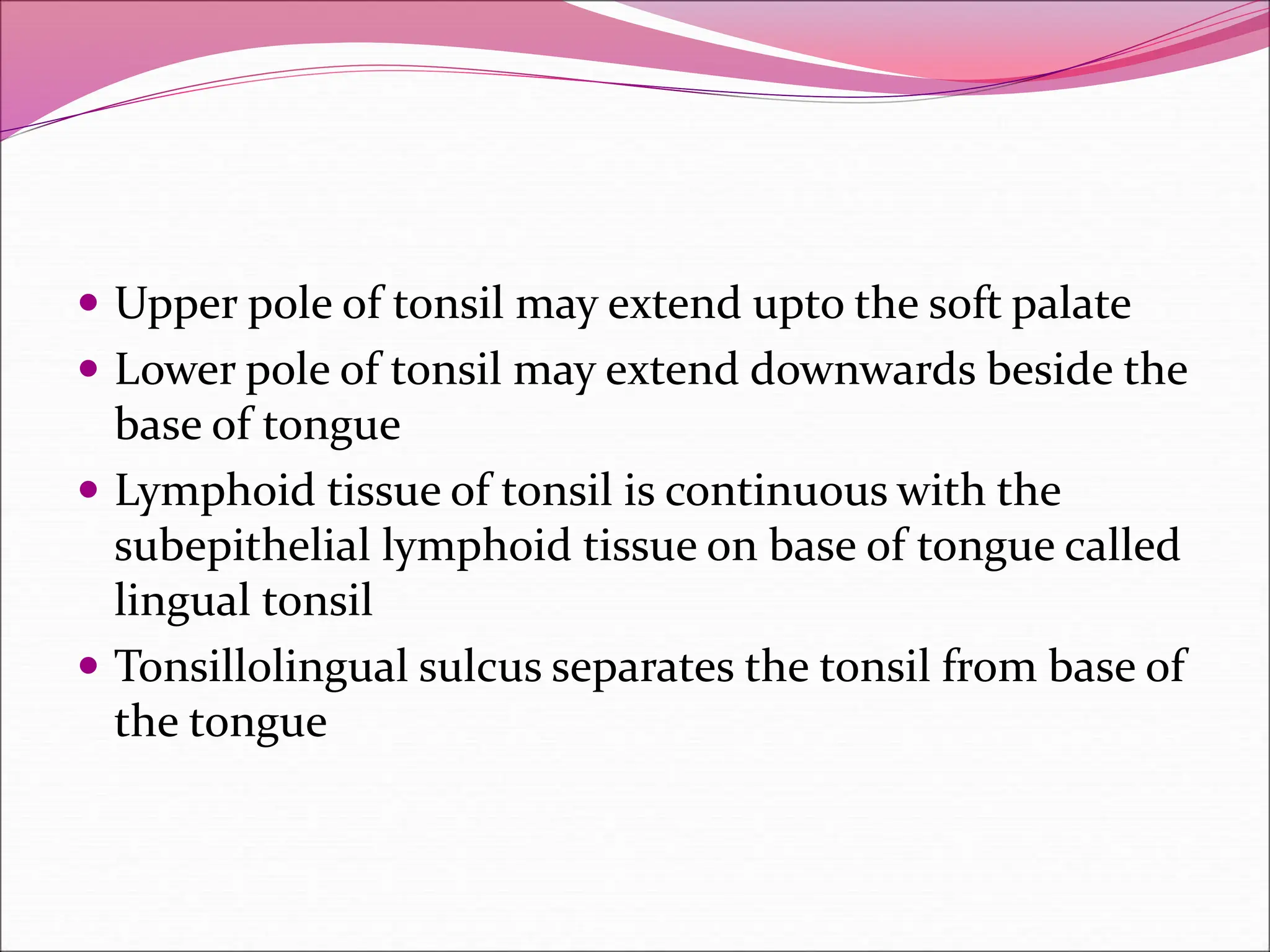 Anatomy Of Tonsil.......................... | PPT