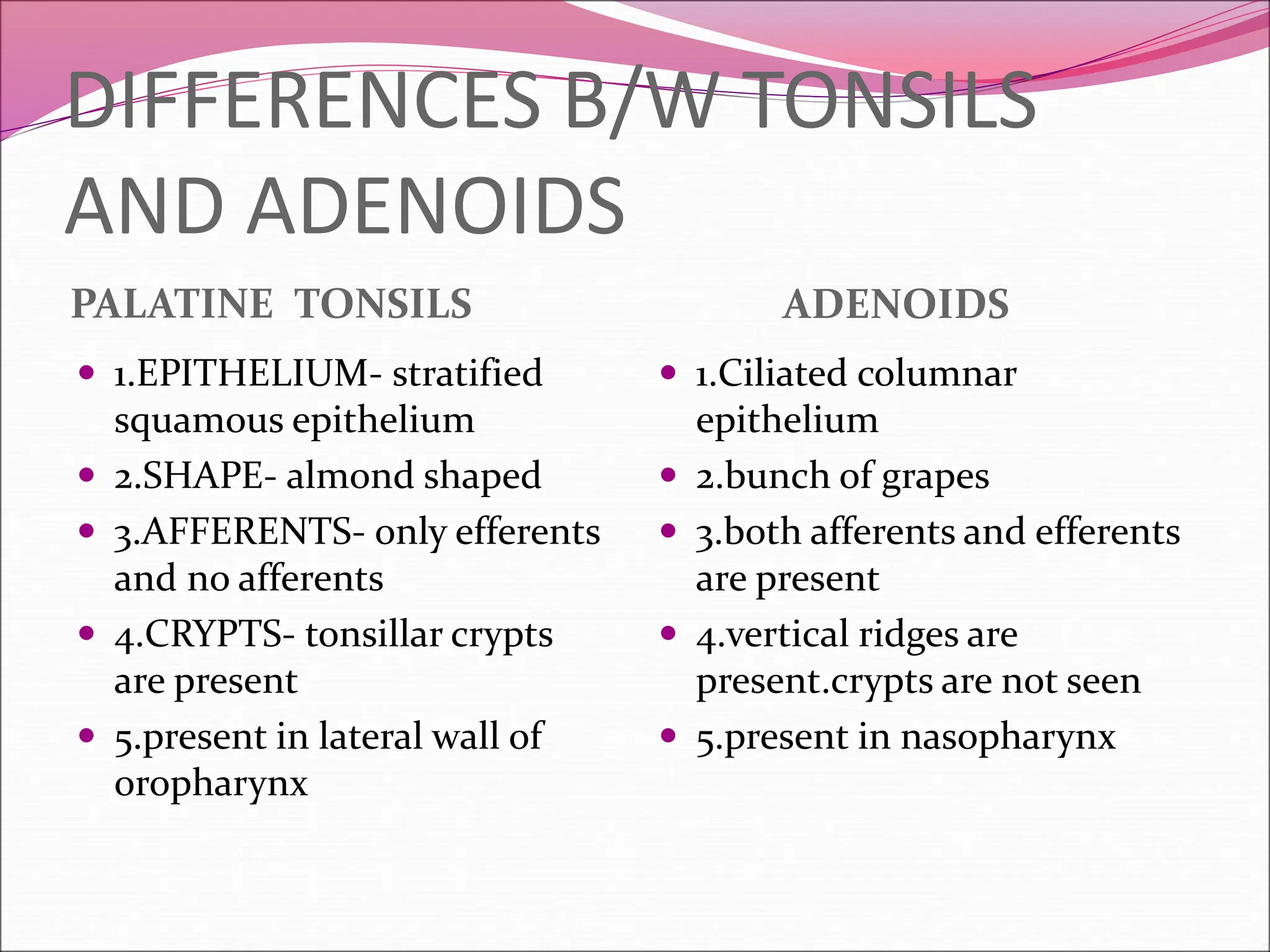 Anatomy Of Tonsil.......................... | PPT | Ear, Nose and ...