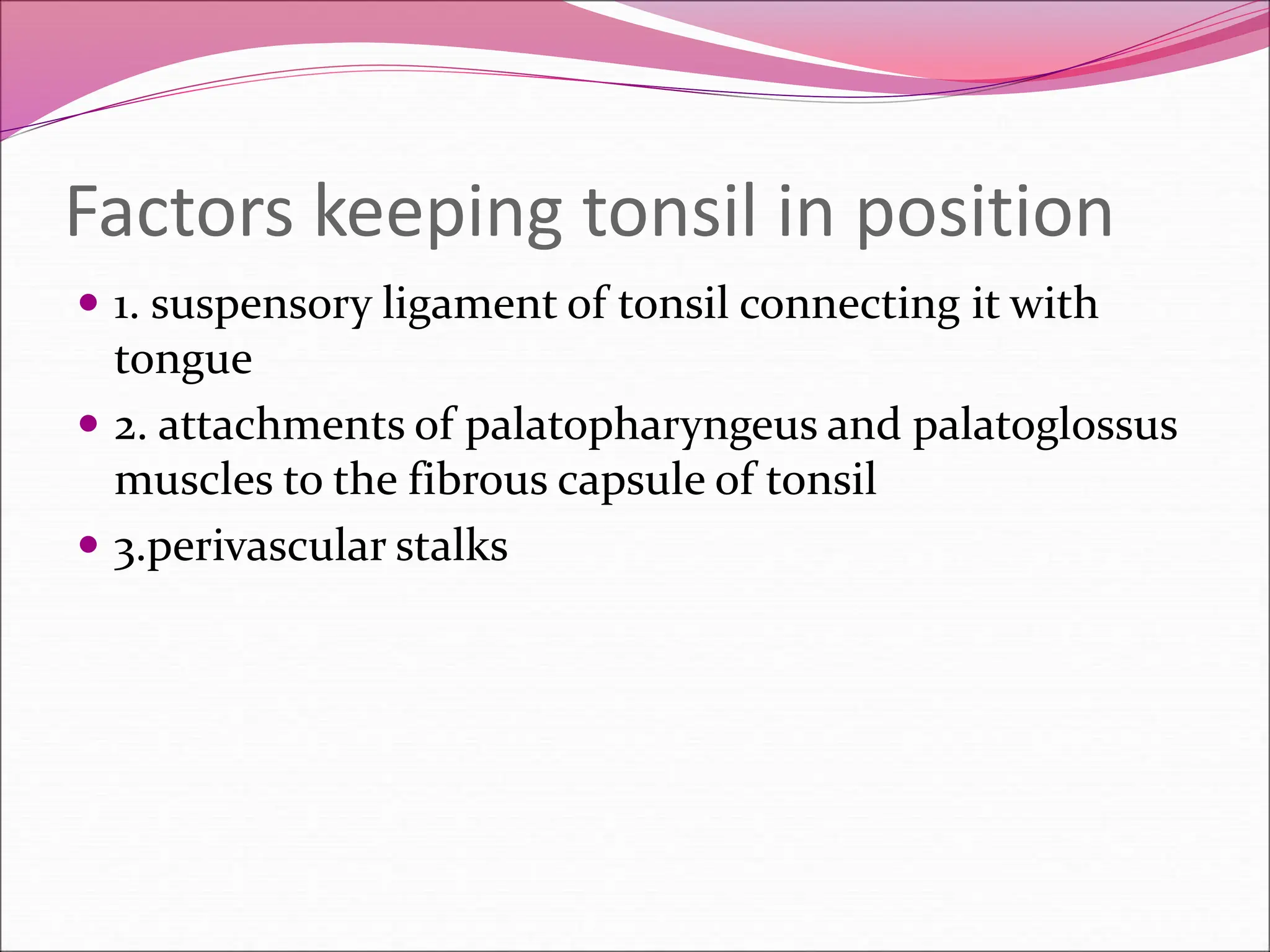 Anatomy Of Tonsil.......................... | PPT