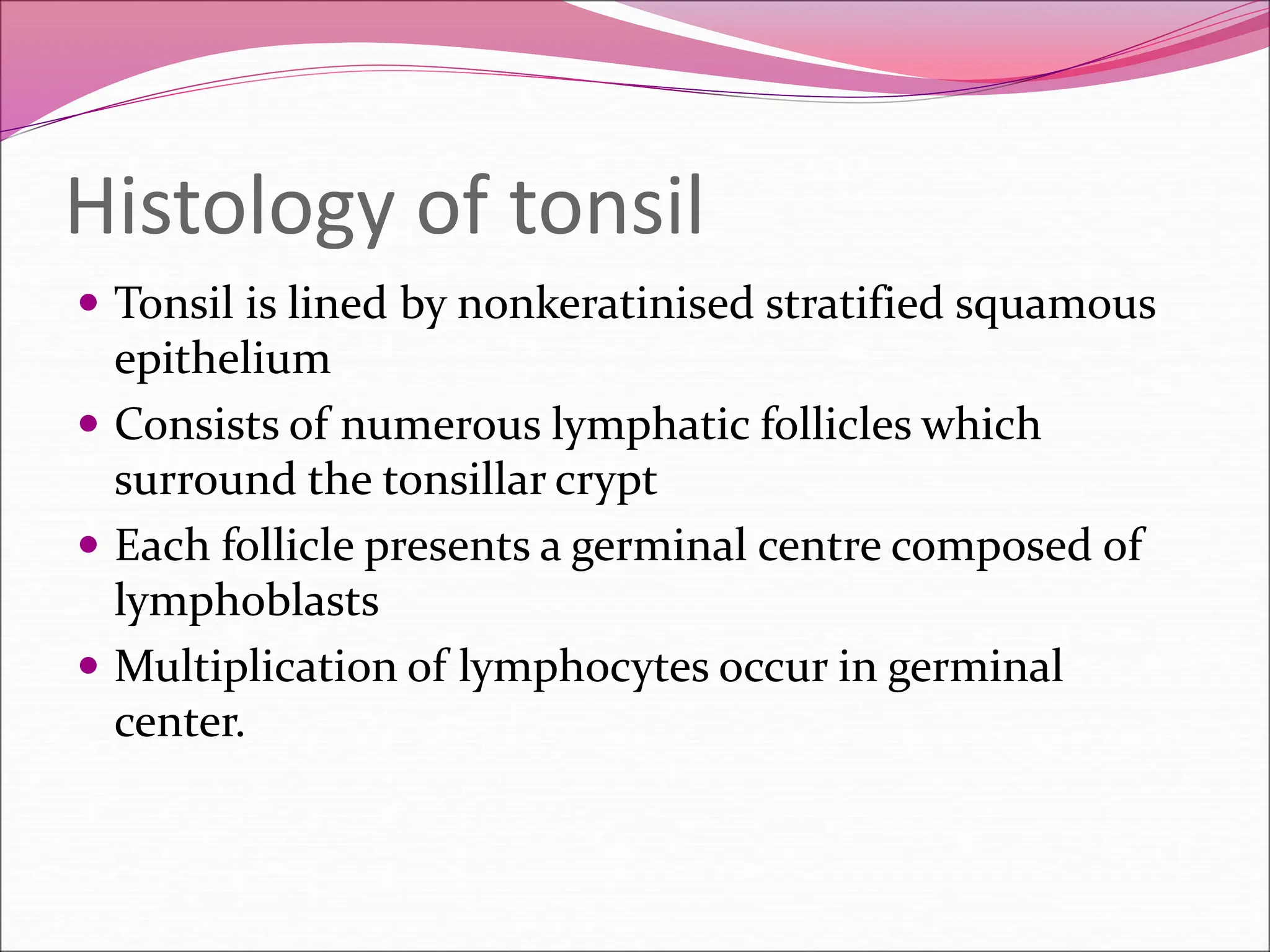 Anatomy Of Tonsil.......................... | PPT