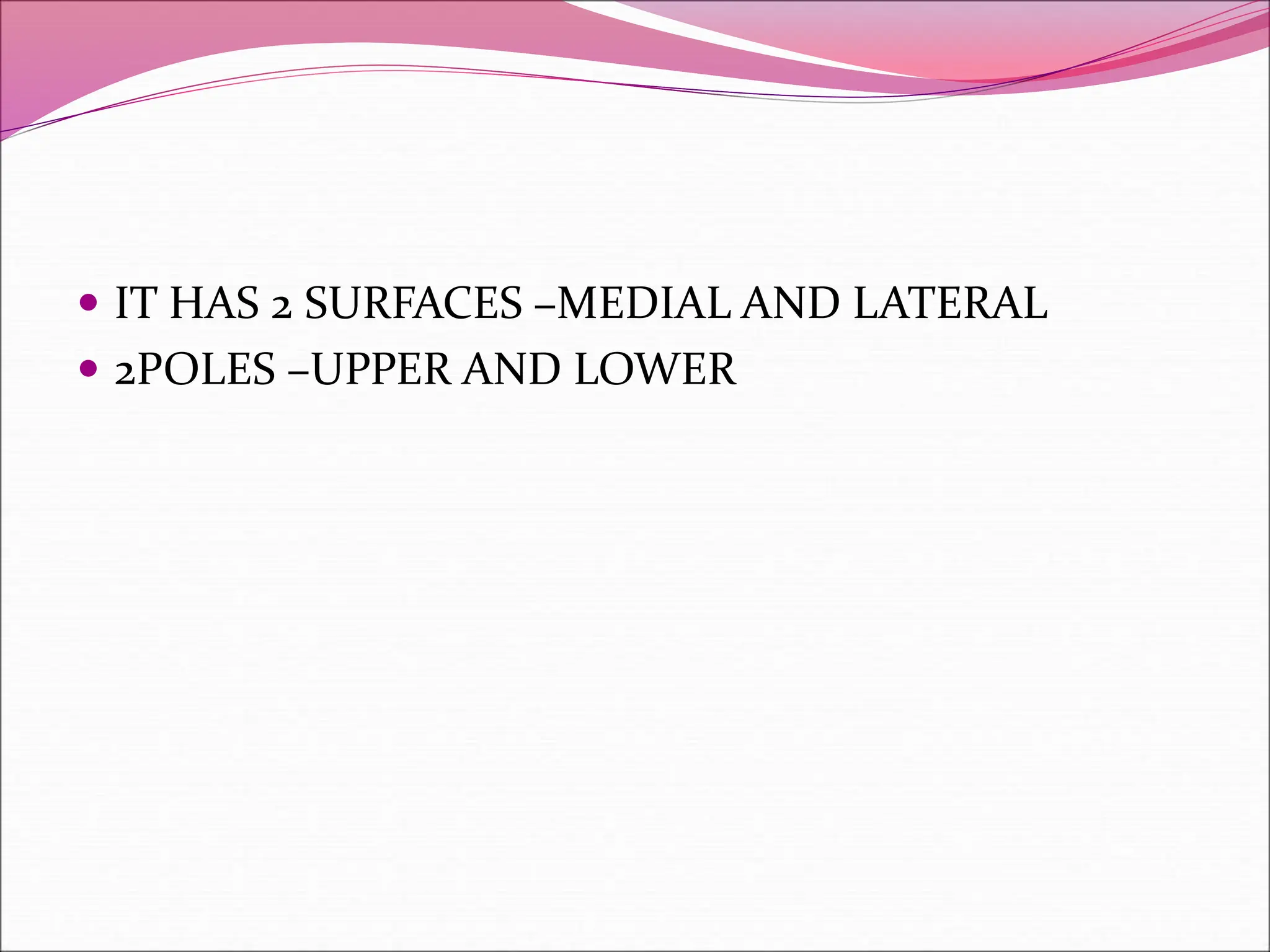 Anatomy Of Tonsil.......................... | PPT