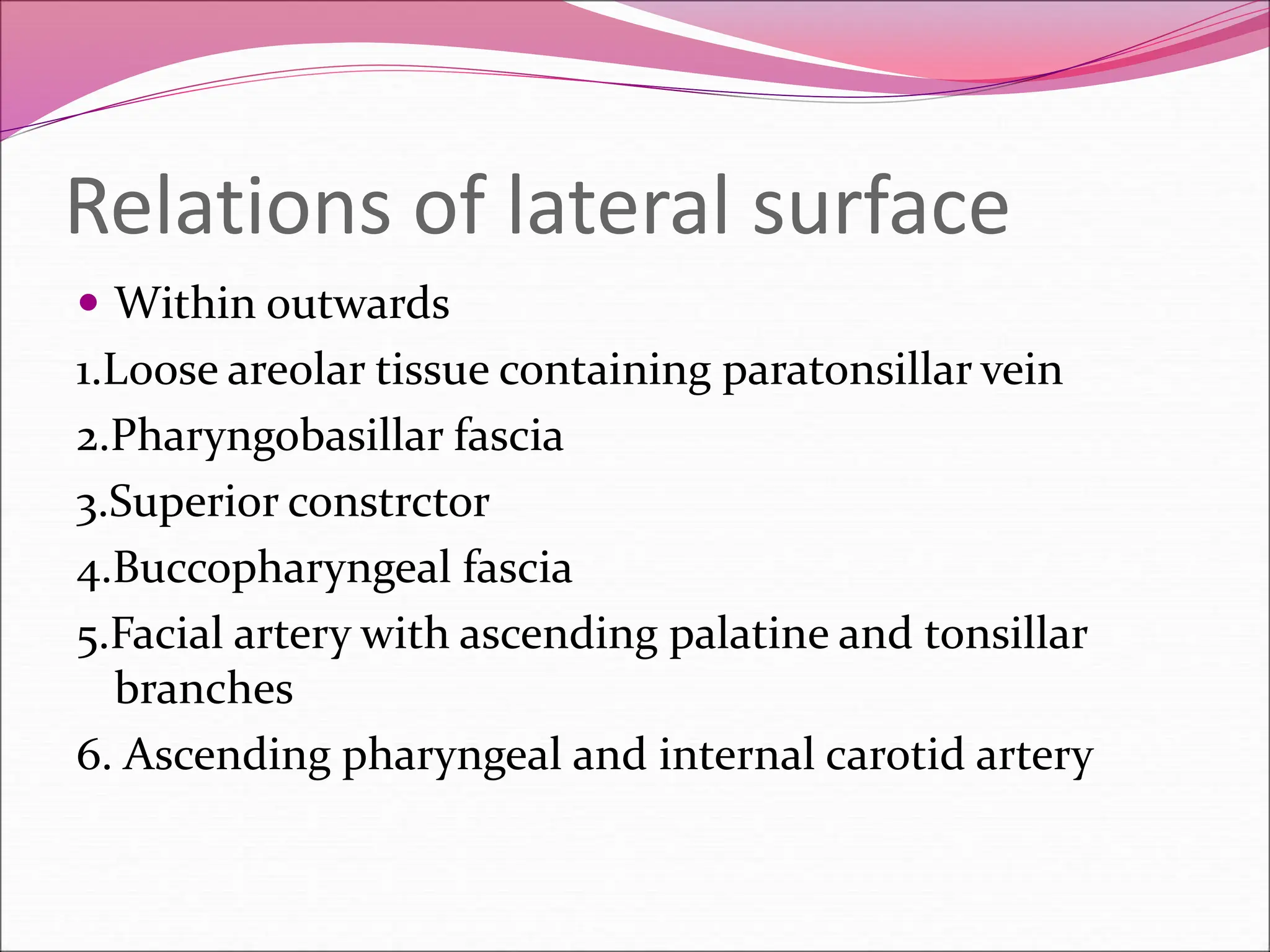 Anatomy Of Tonsil.......................... | PPT