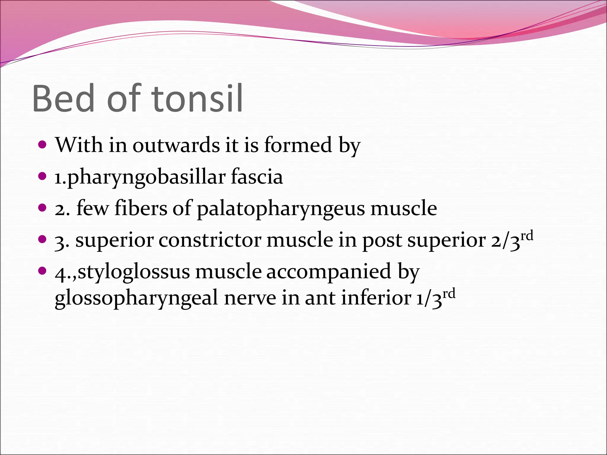 Anatomy Of Tonsil.......................... | PPT
