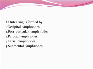 Anatomy Of Tonsil.......................... | PPT