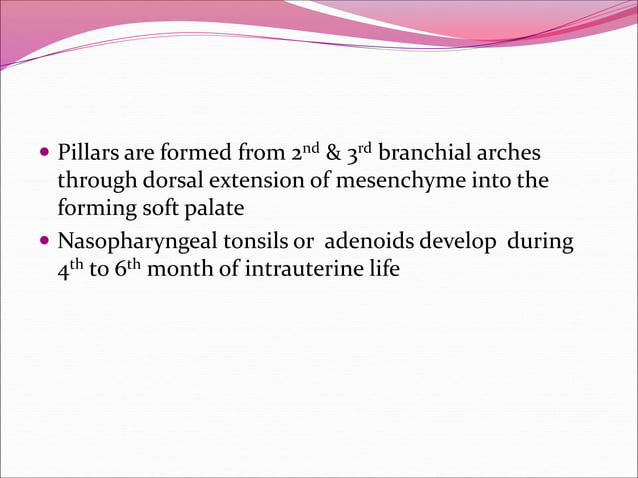Anatomy Of Tonsil.......................... | PPT | Ear, Nose and ...
