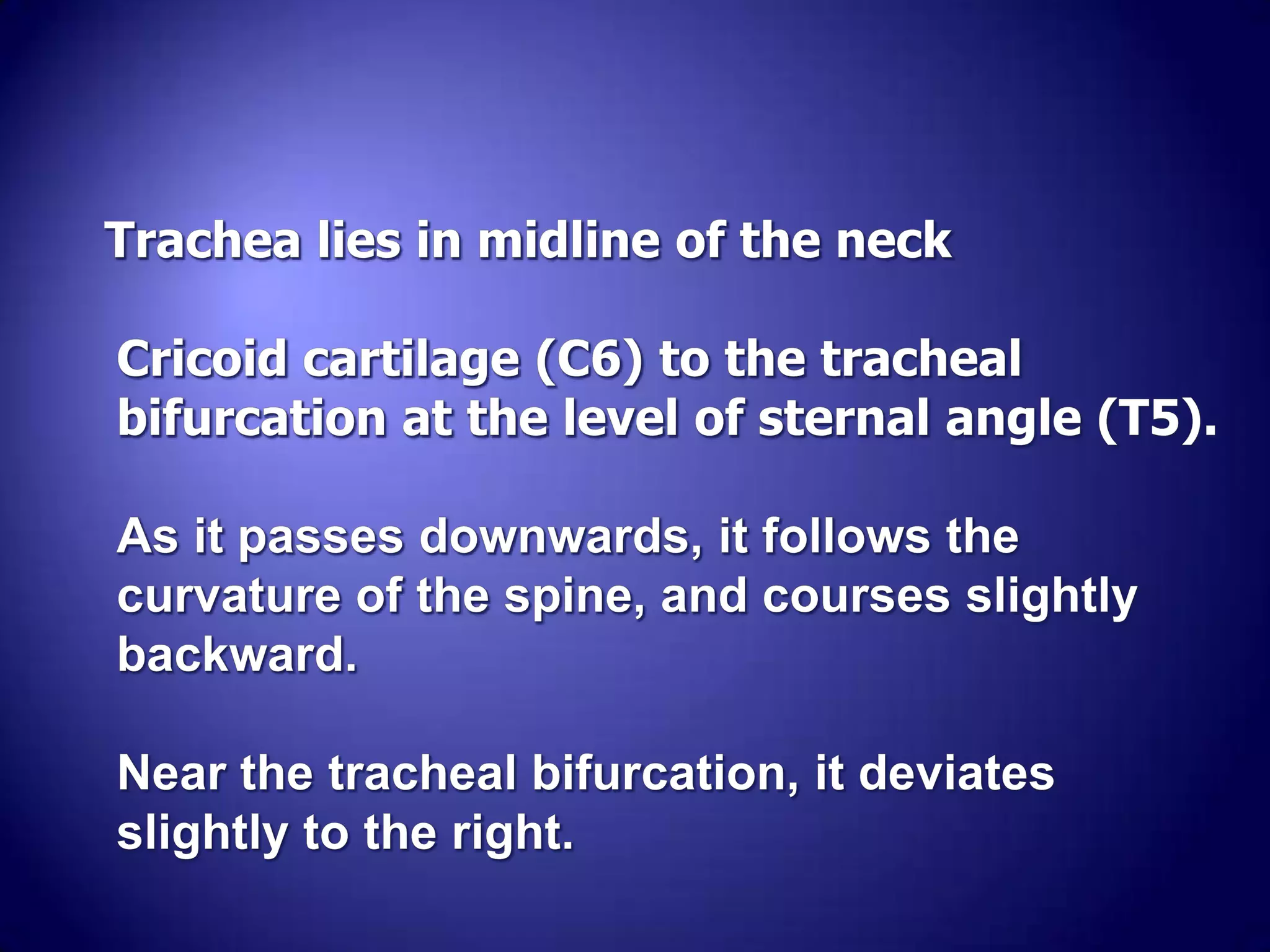 ANATOMY OF TRACHEA & TRACHEOSTOMY | PPTX