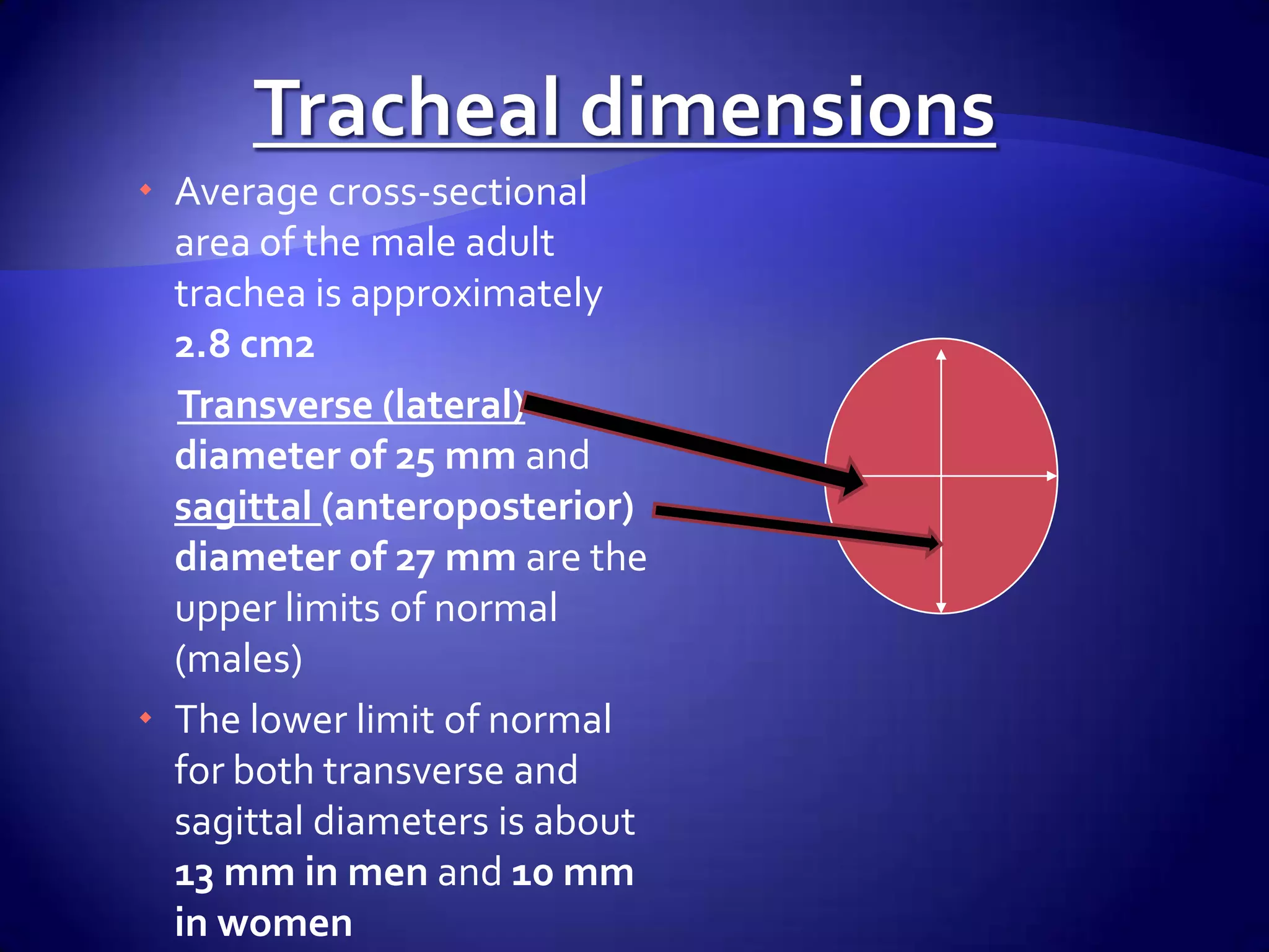ANATOMY OF TRACHEA & TRACHEOSTOMY | PPTX
