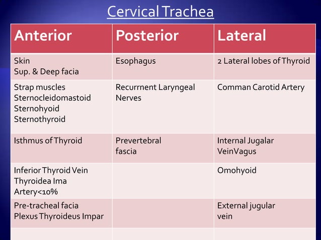 ANATOMY OF TRACHEA & TRACHEOSTOMY | PPTX