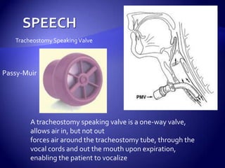 ANATOMY OF TRACHEA & TRACHEOSTOMY | PPTX