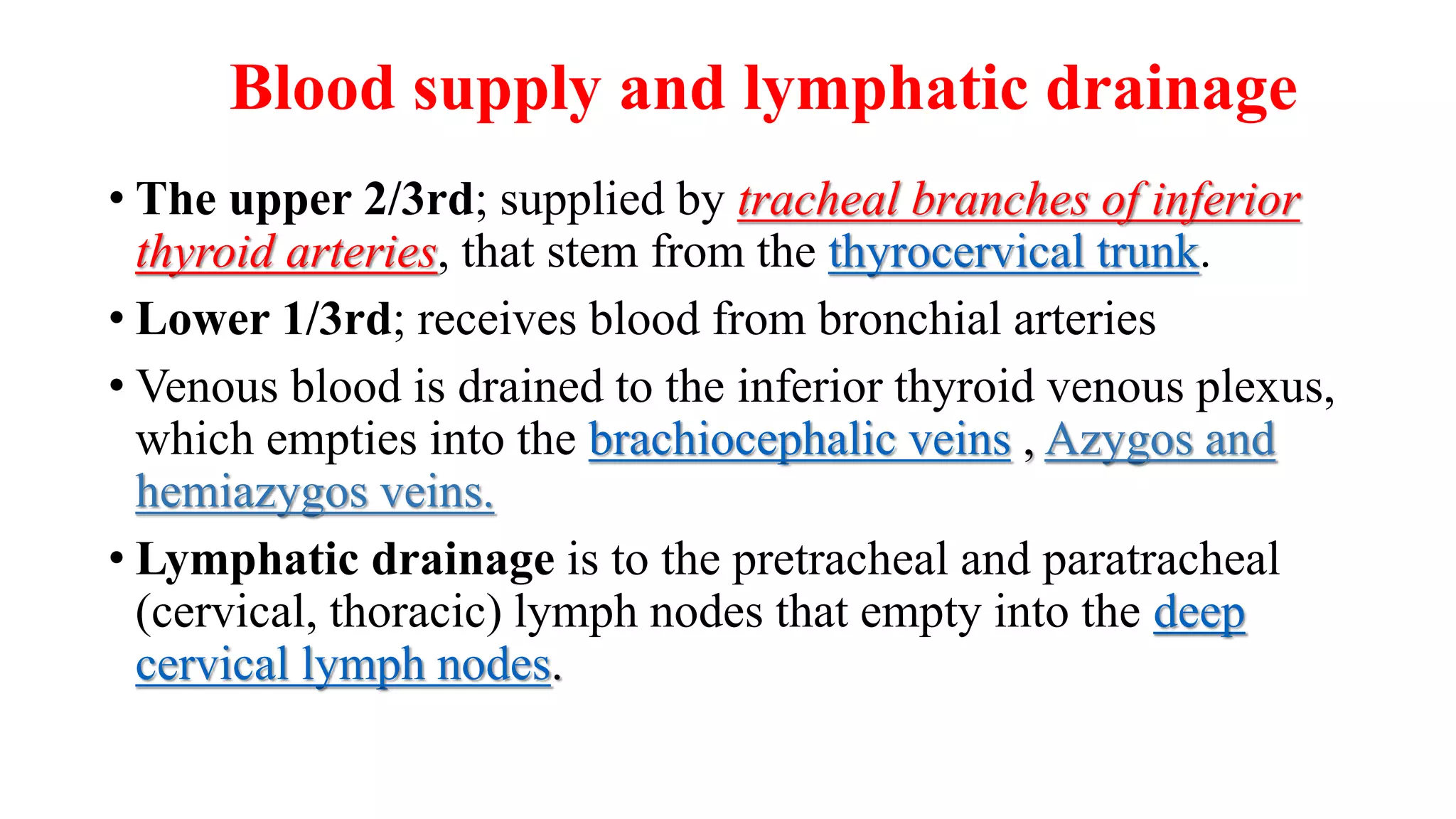 anatomy of trachea.pptx