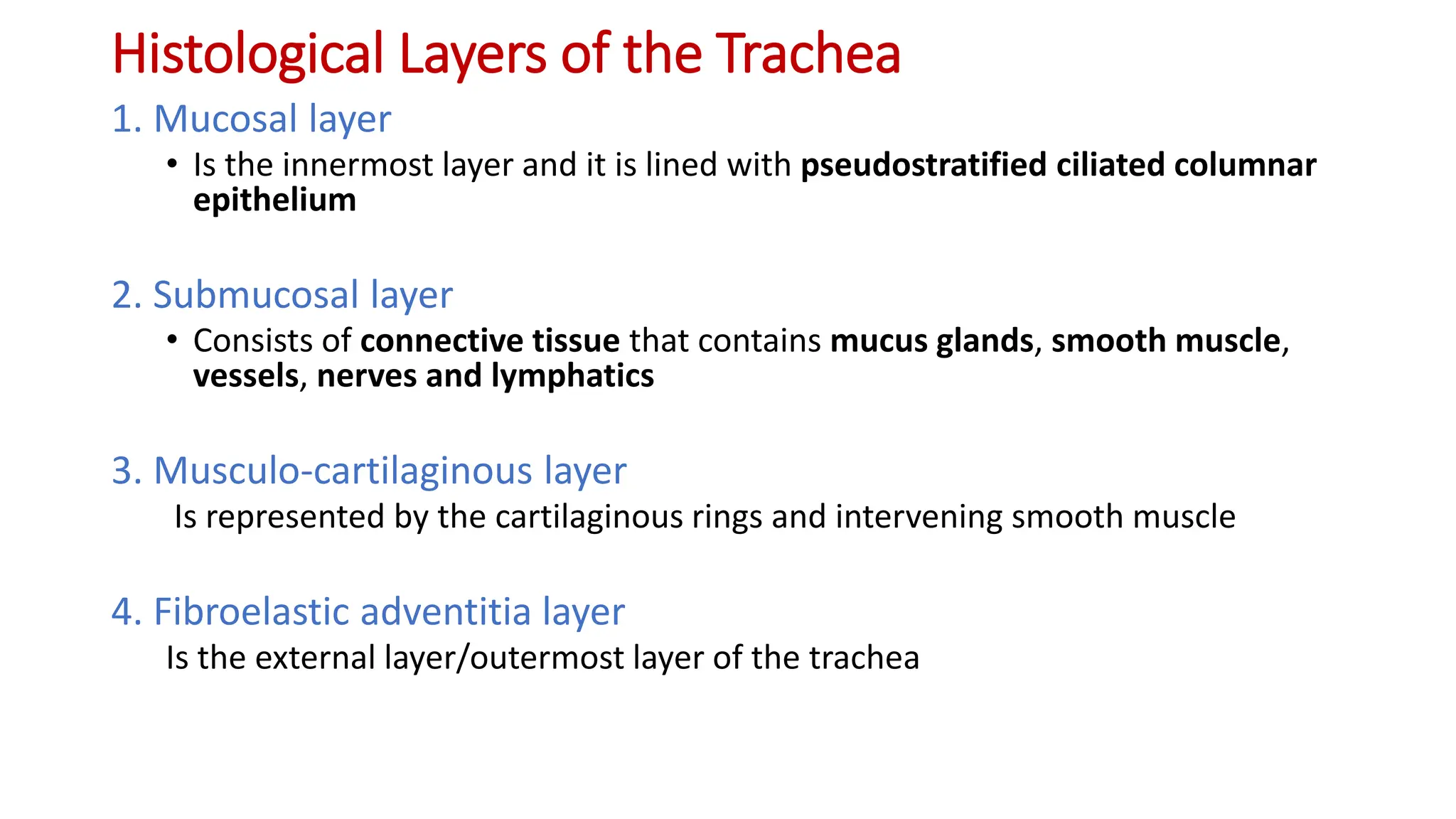 Anatomy of Trachea presentations notes.pptx