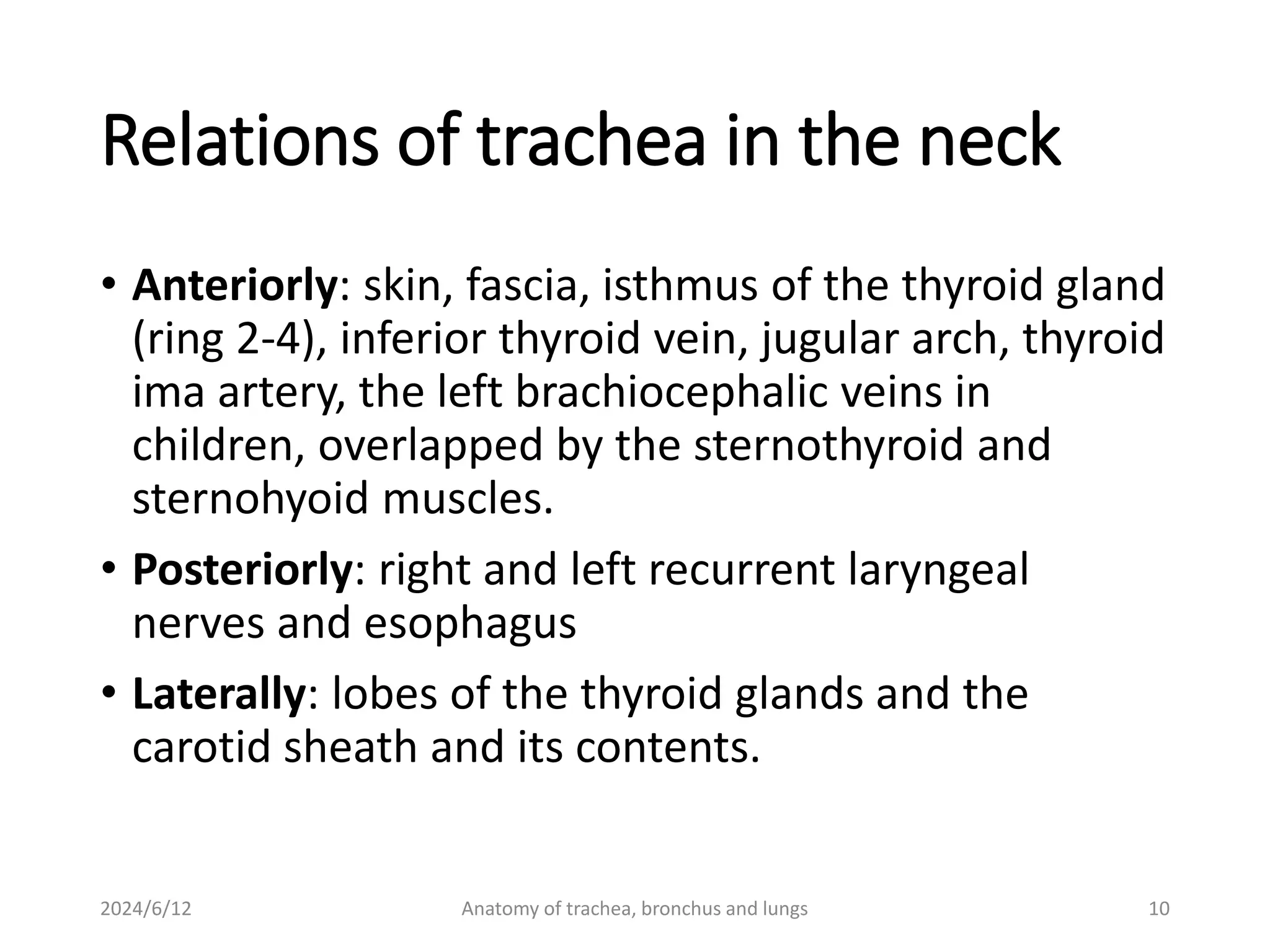 Anatomy of trachea, bronchi, & lungs.pptx