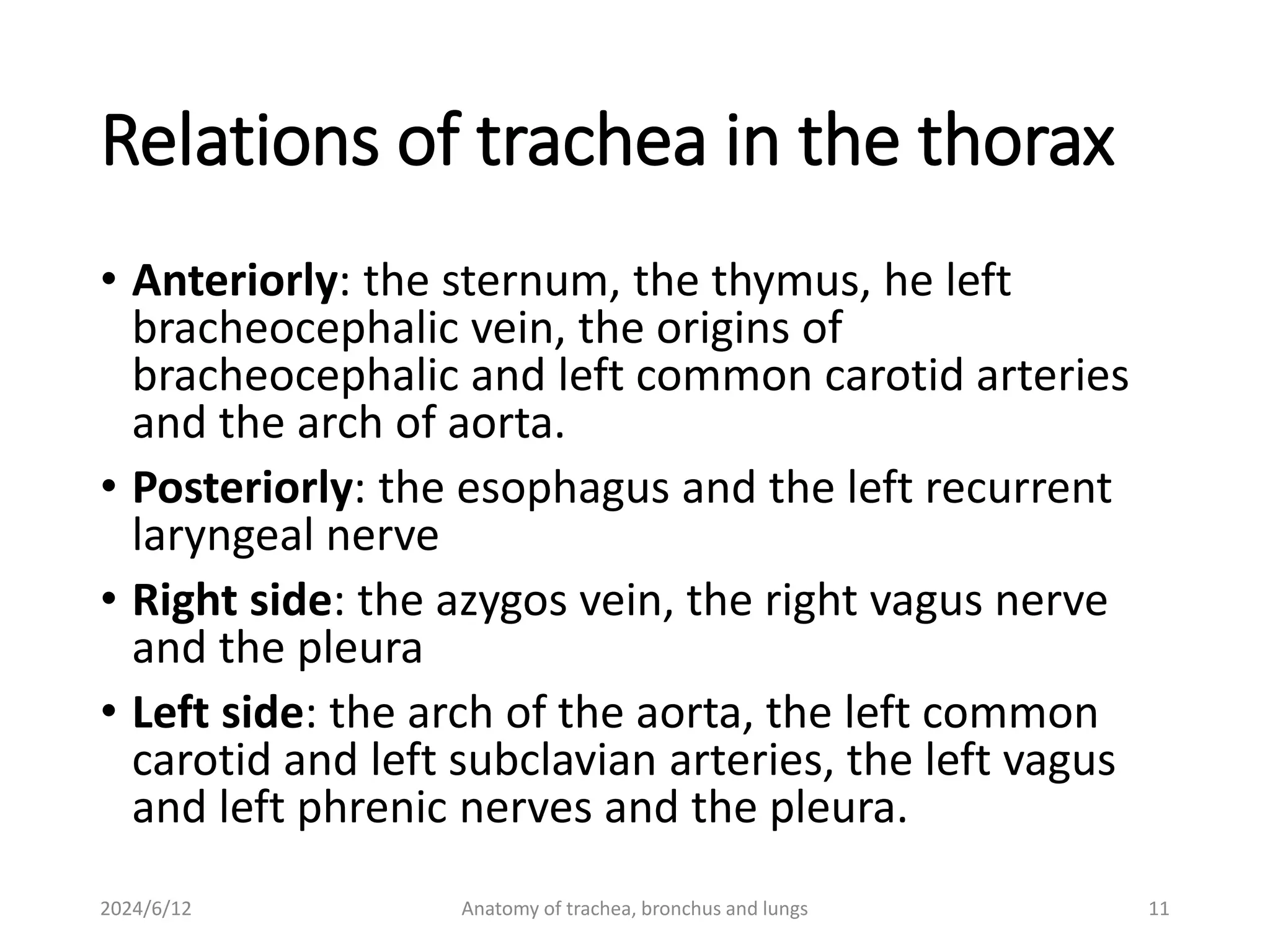 Anatomy of trachea, bronchi, & lungs.pptx