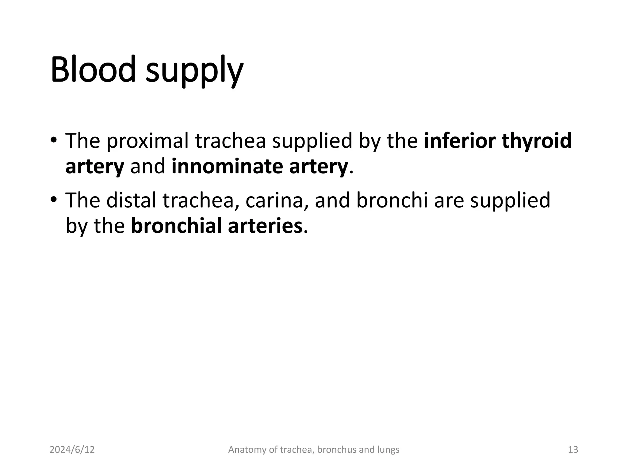 Anatomy of trachea, bronchi, & lungs.pptx