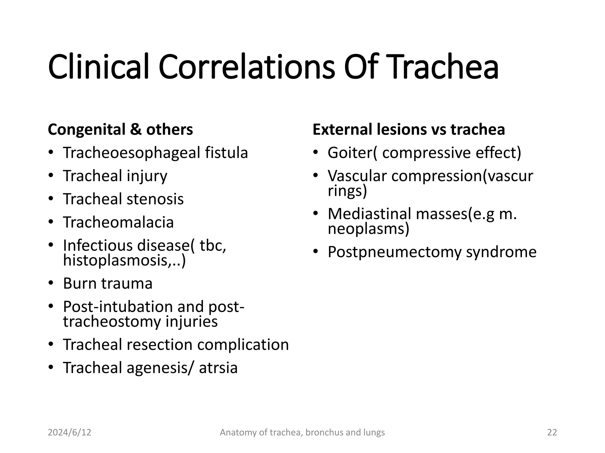 Anatomy of trachea, bronchi, & lungs.pptx
