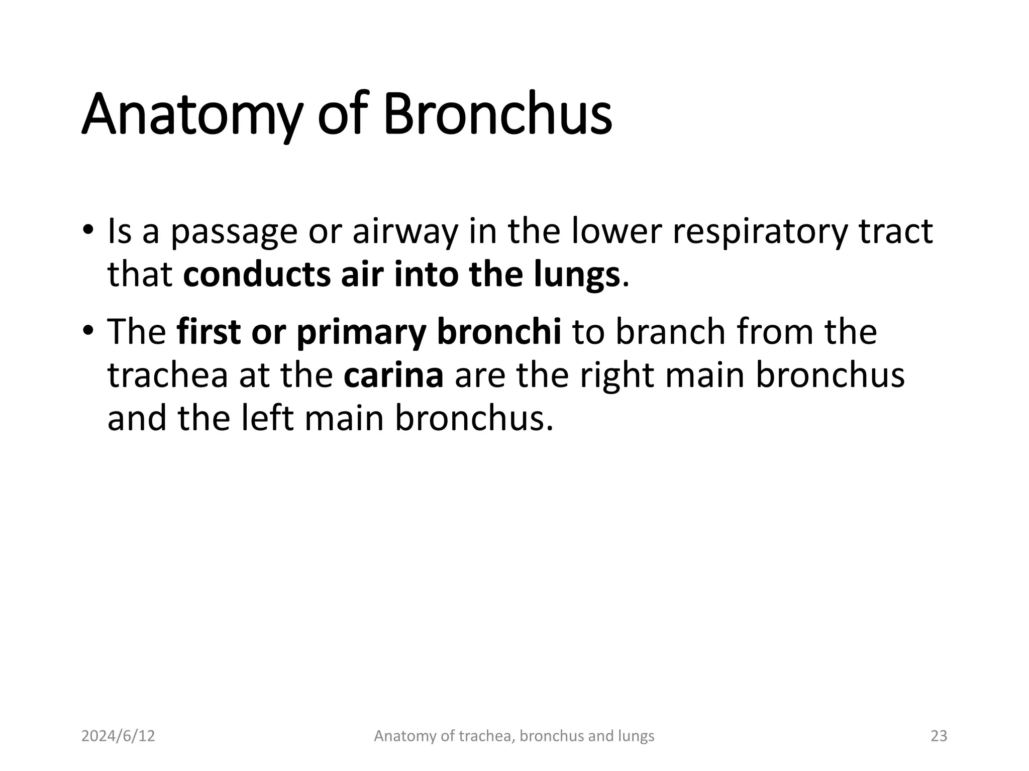 Anatomy of trachea, bronchi, & lungs.pptx