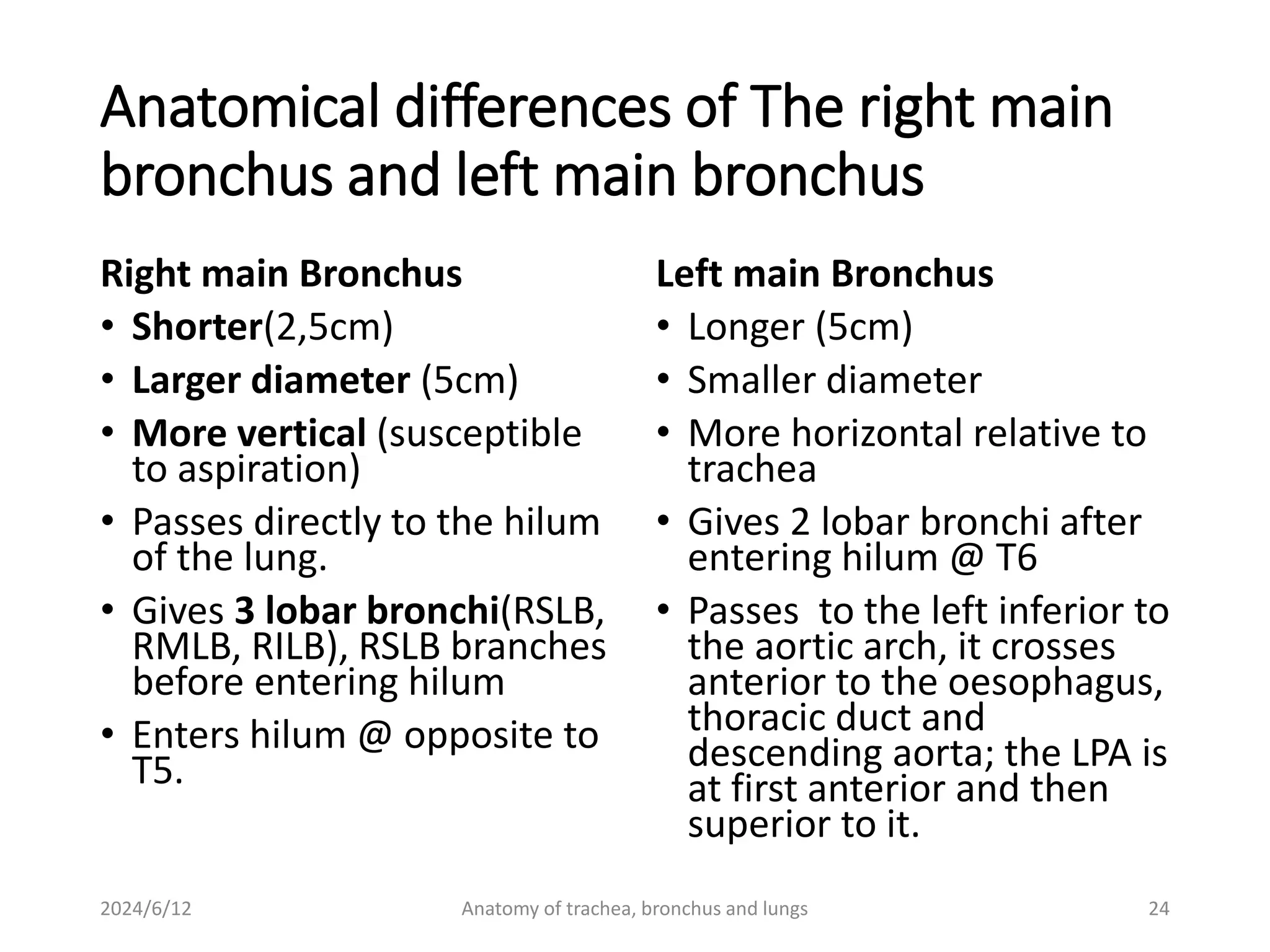 Anatomy of trachea, bronchi, & lungs.pptx