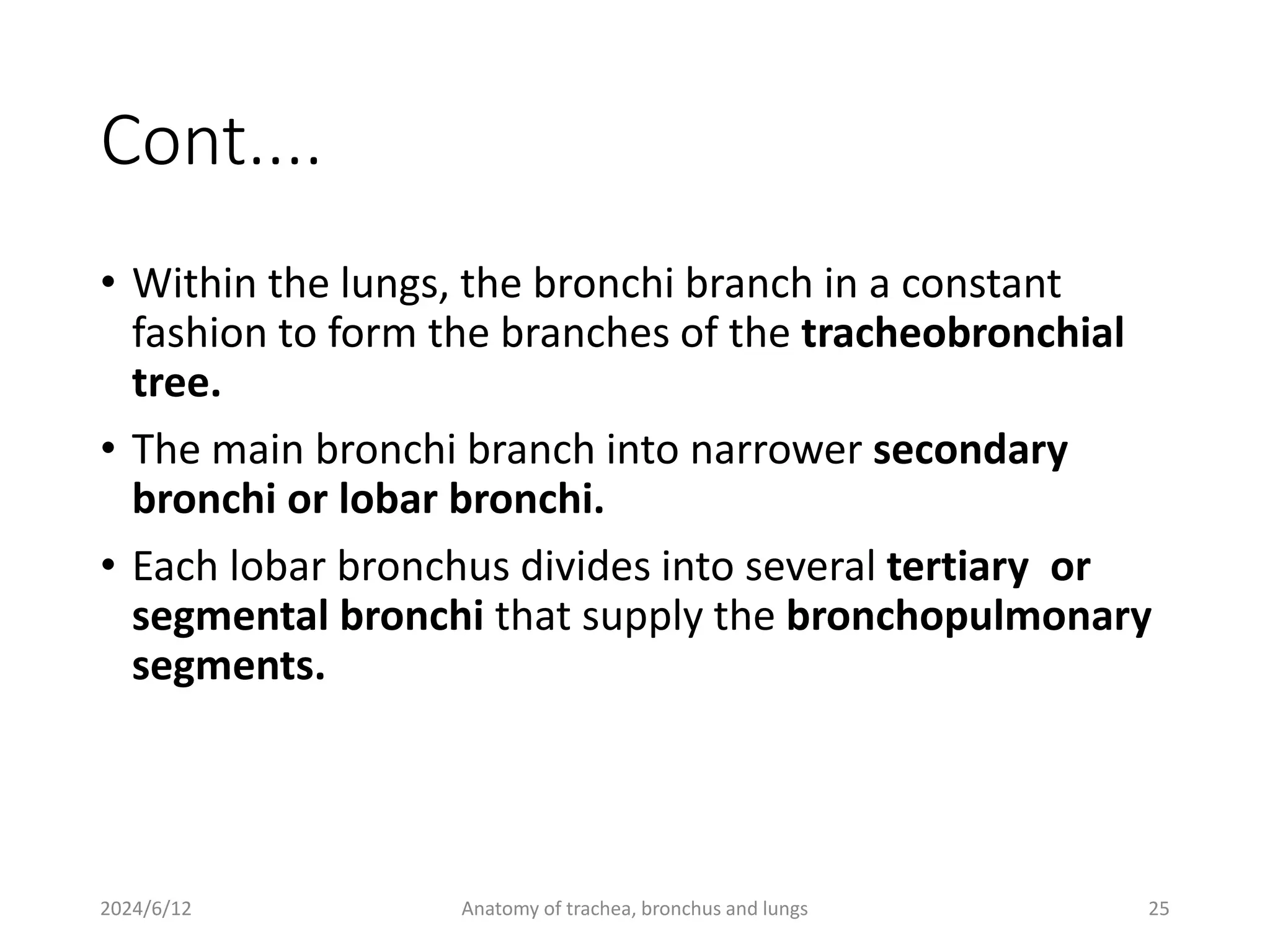 Anatomy of trachea, bronchi, & lungs.pptx