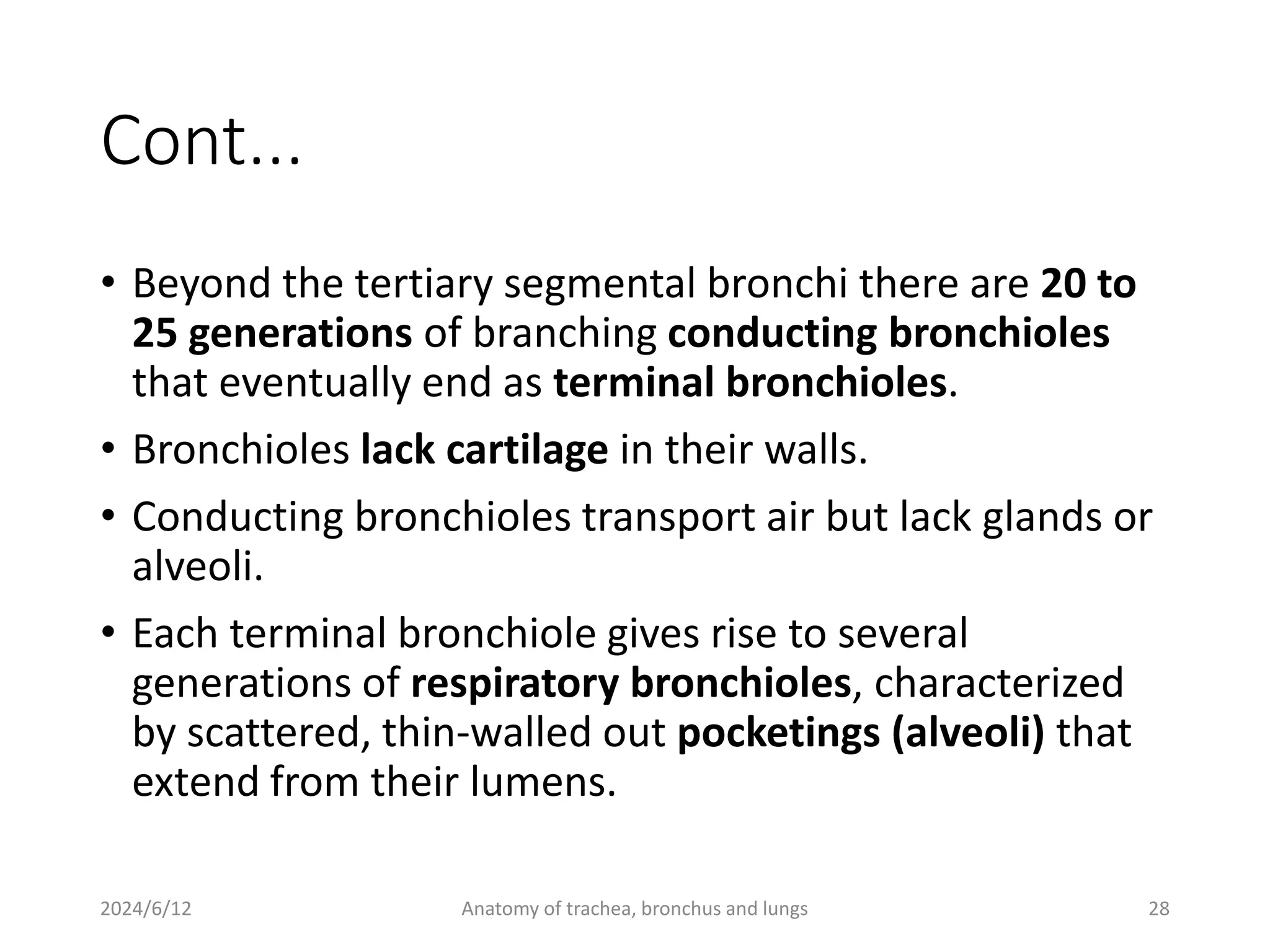 Anatomy of trachea, bronchi, & lungs.pptx