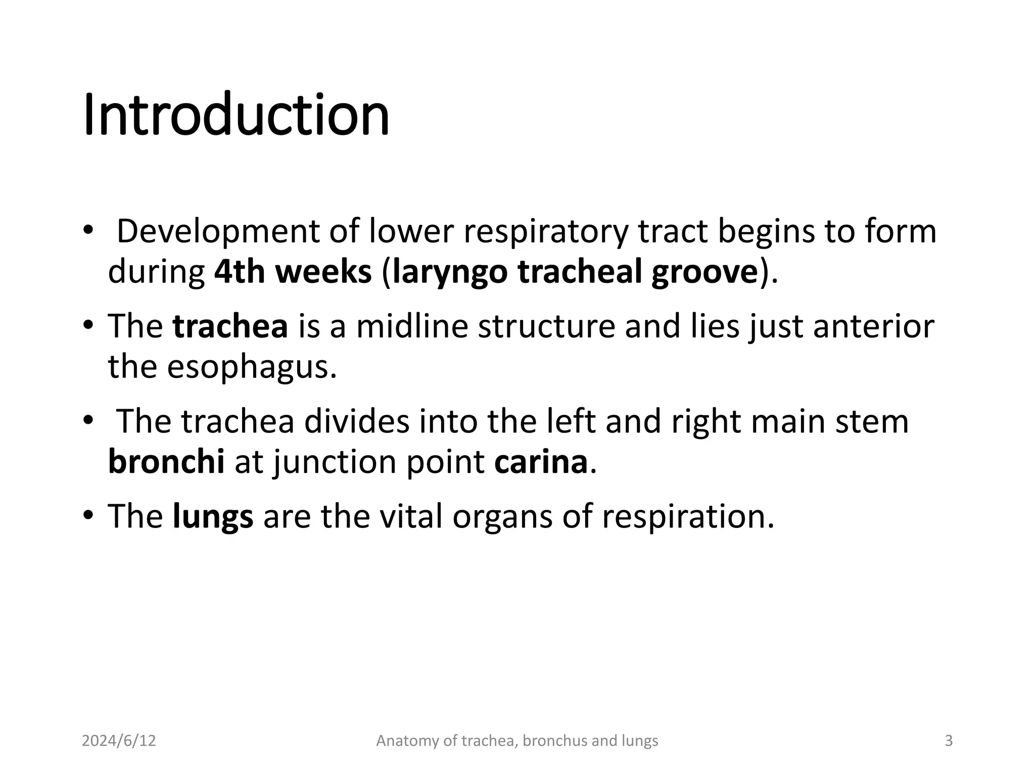 Anatomy of trachea, bronchi, & lungs.pptx
