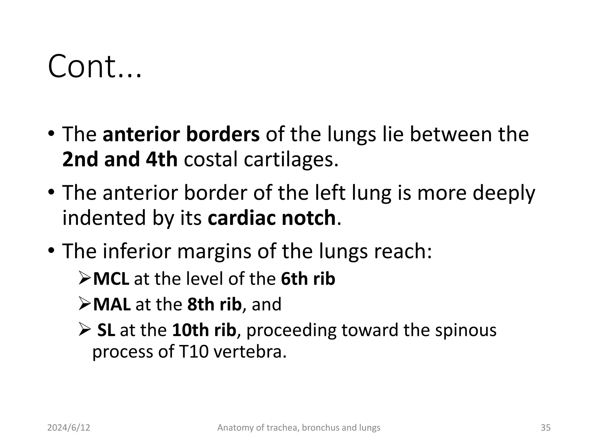 Anatomy of trachea, bronchi, & lungs.pptx