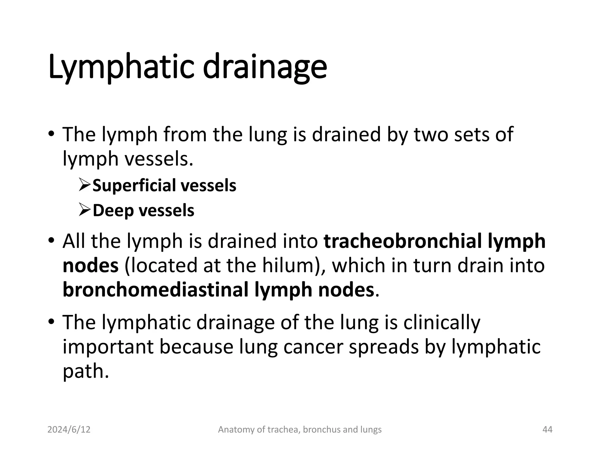 Anatomy of trachea, bronchi, & lungs.pptx