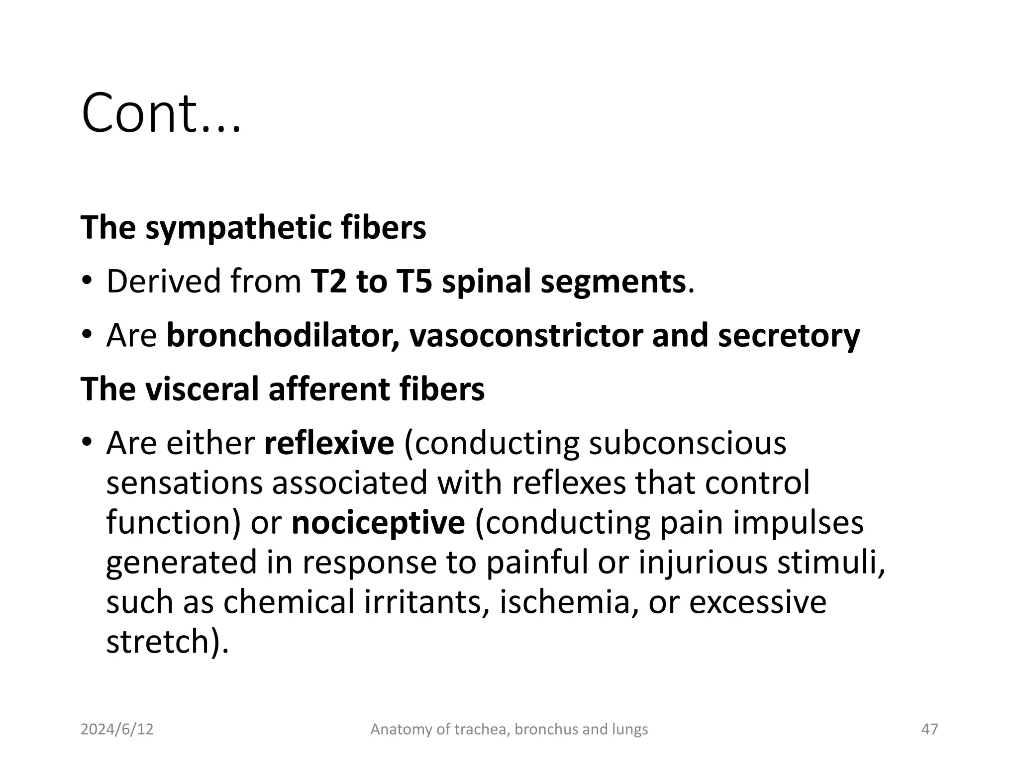 Anatomy of trachea, bronchi, & lungs.pptx