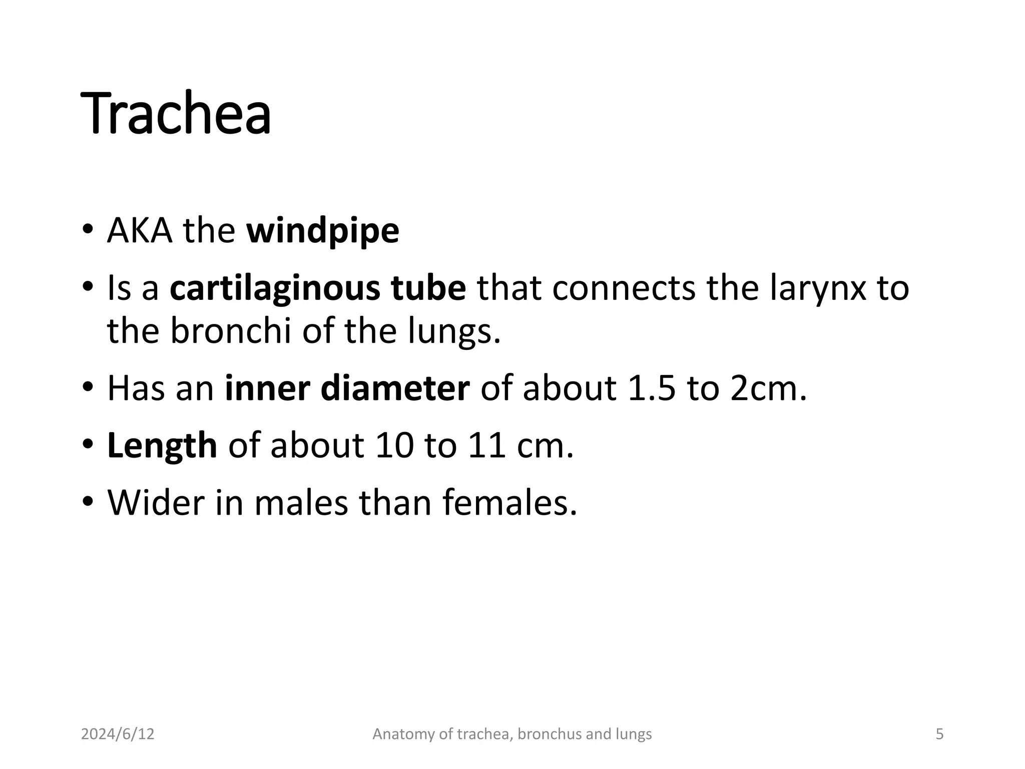 Anatomy of trachea, bronchi, & lungs.pptx