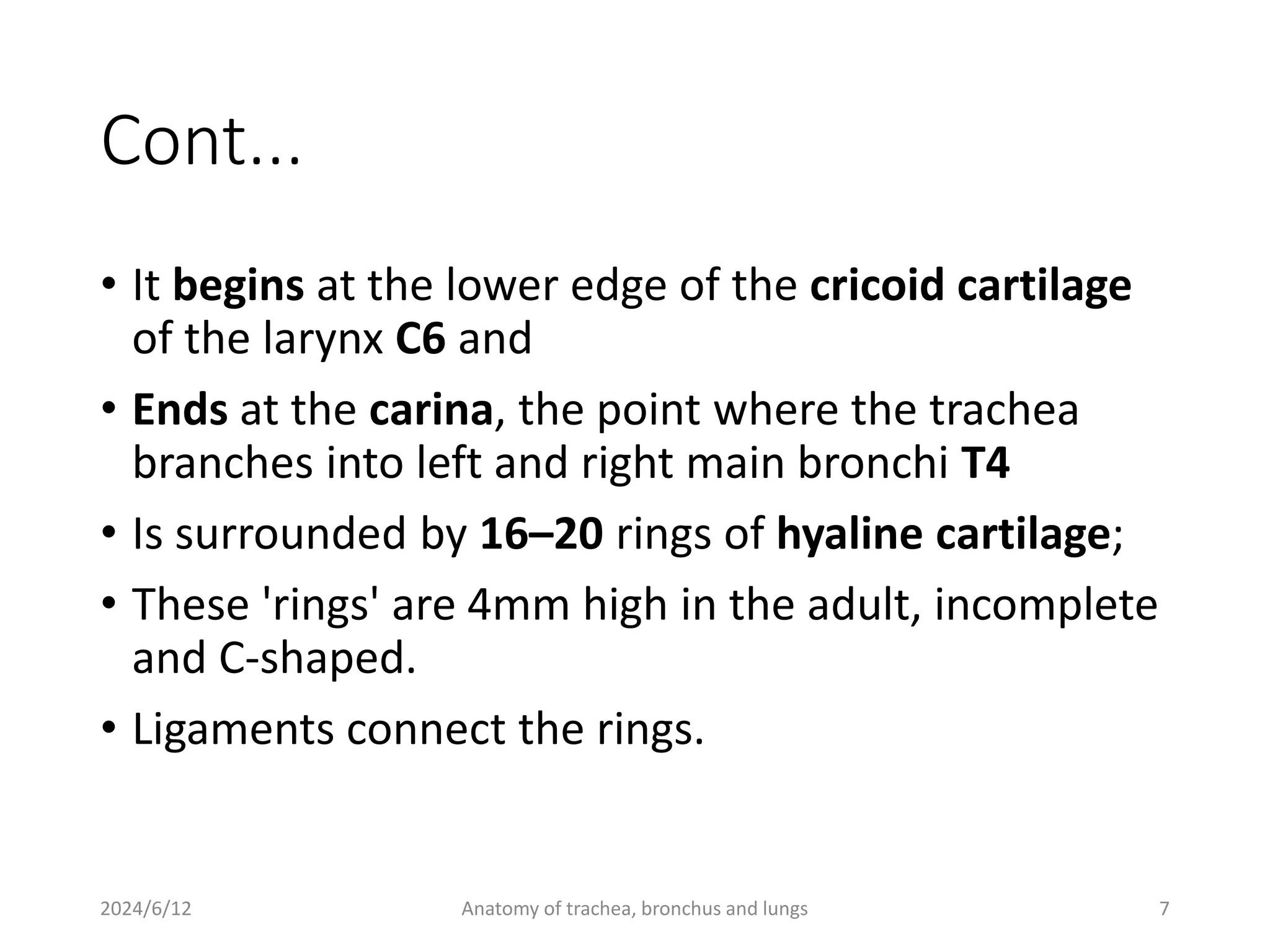 Anatomy of trachea, bronchi, & lungs.pptx