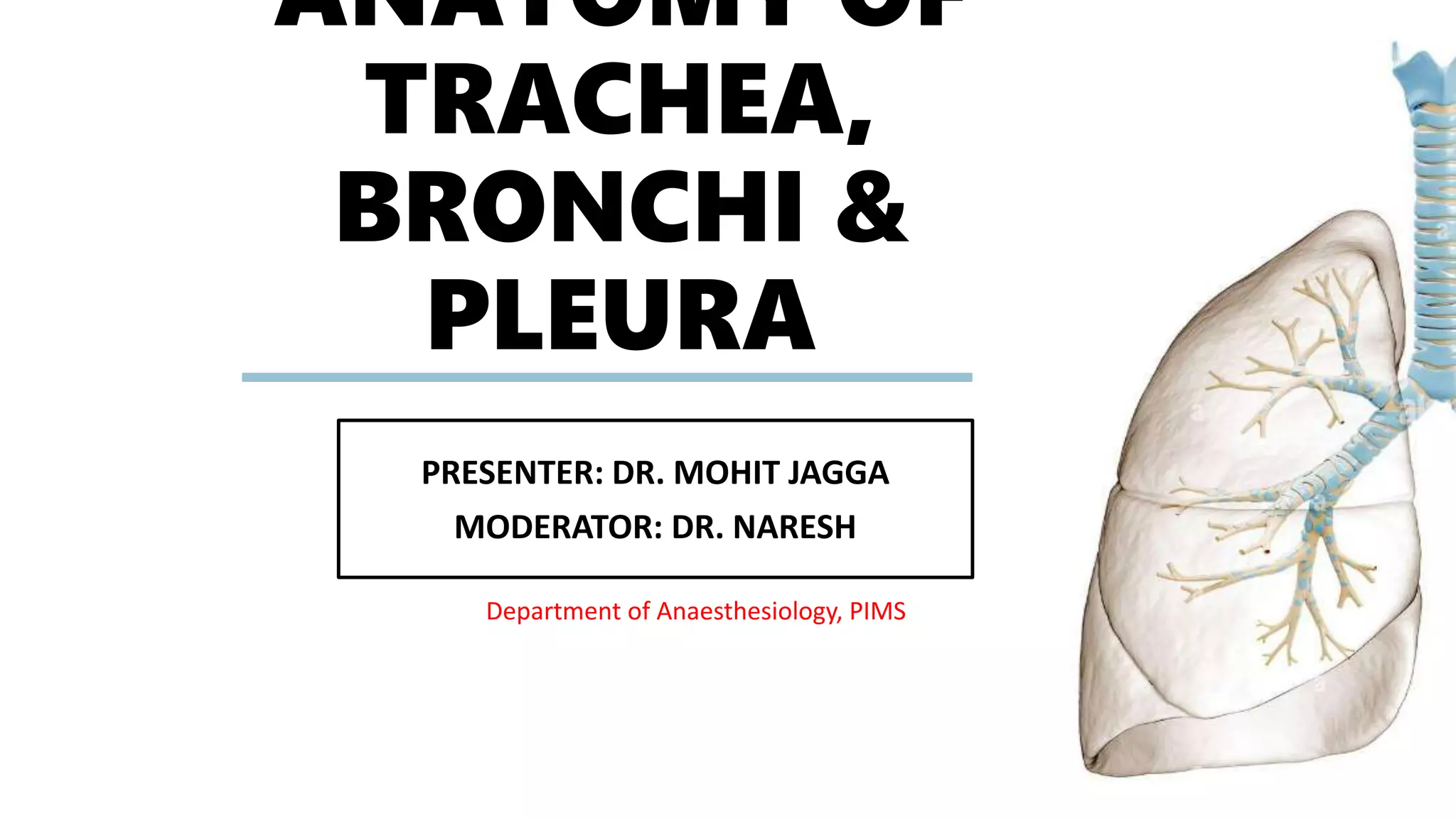 ANATOMY OF TRACHEA, BRONCHI & PLEURA.pptx